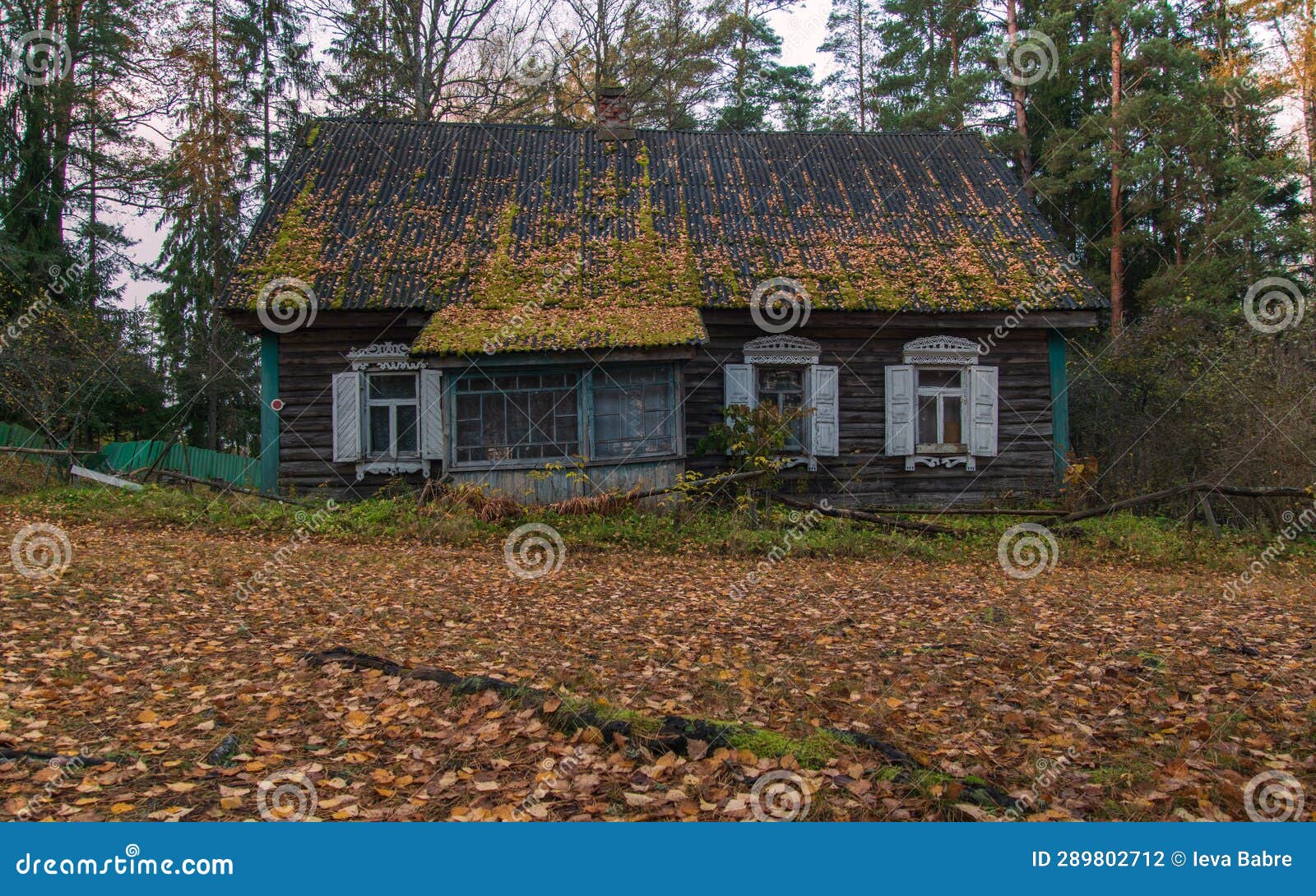 An Old Wooden House with White Window Shutters in the Fall Stock Photo ...