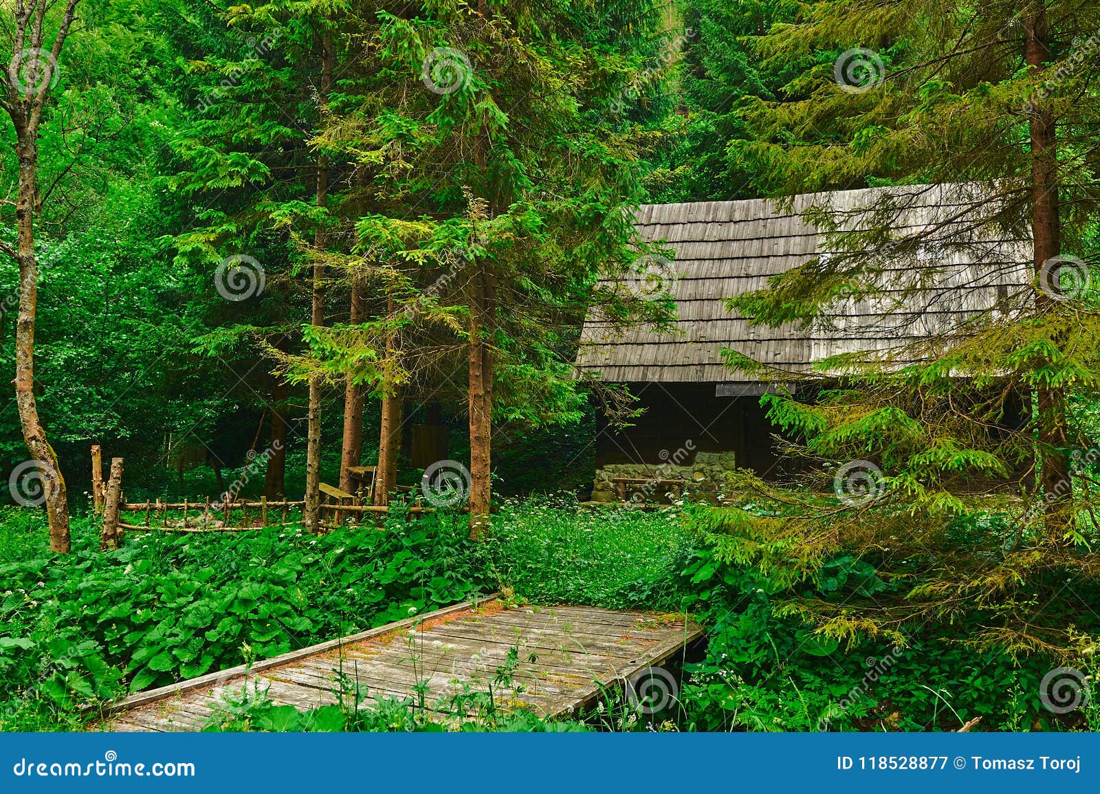 Old hut in the forest stock image. Image of outdoor - 118528877