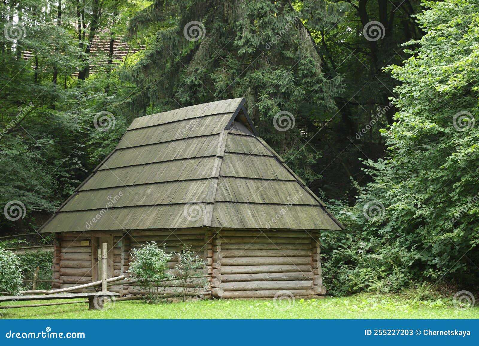 Old Wooden Hut in Forest on Summer Day Stock Image - Image of farm ...