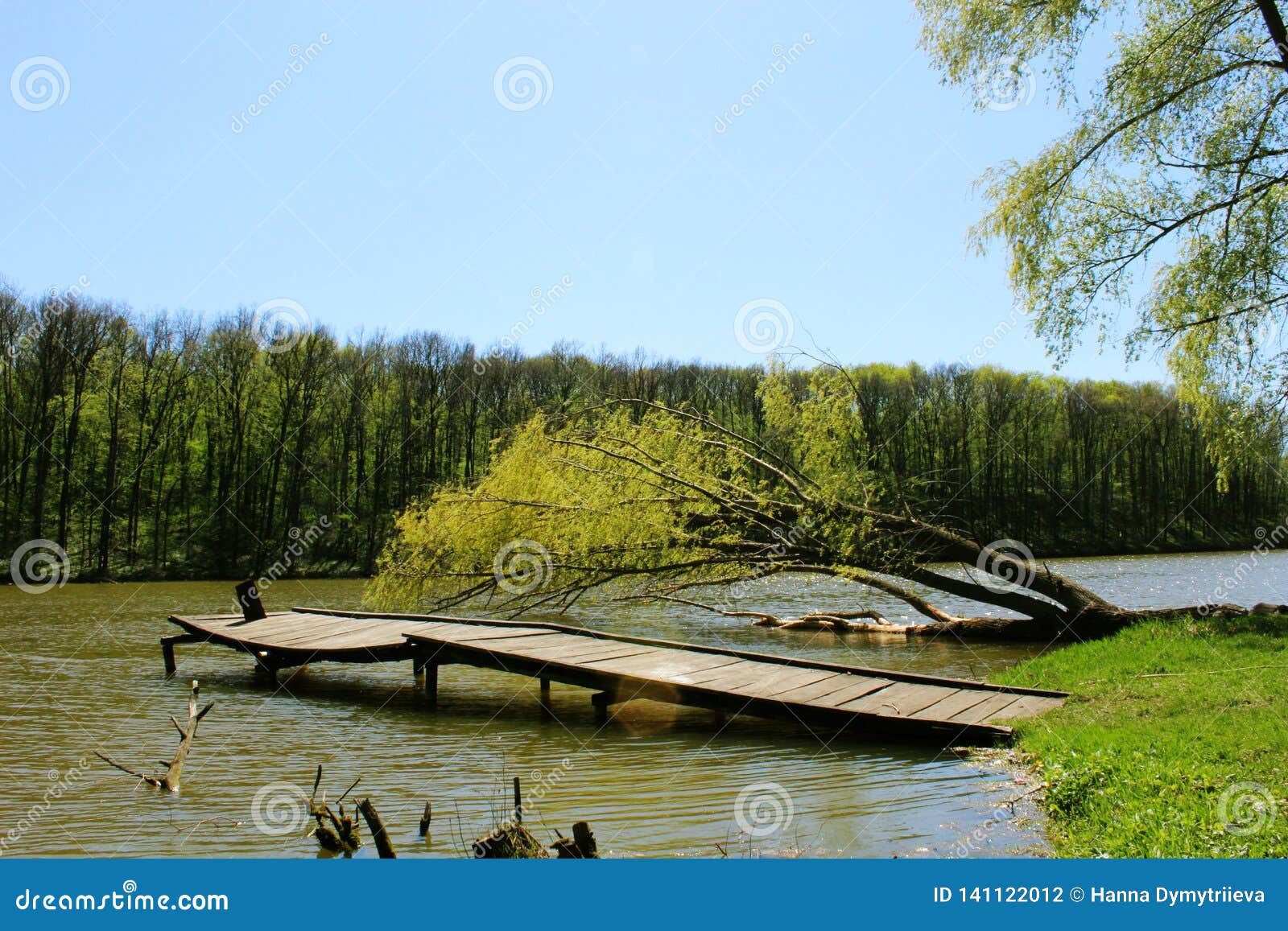 Old Wooden Jetty Over the River among Forest Stock Photo - Image of ...