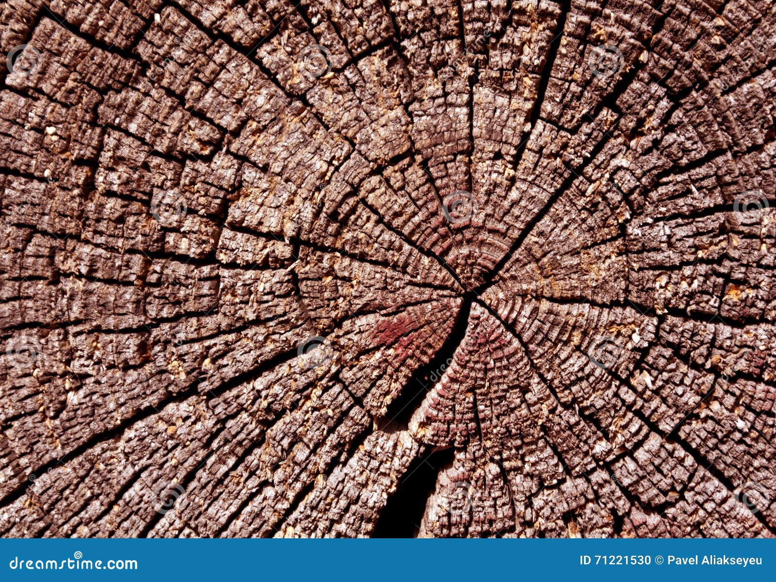 Old wooden log texture. stock photo. Image of brown, abstract - 71221530