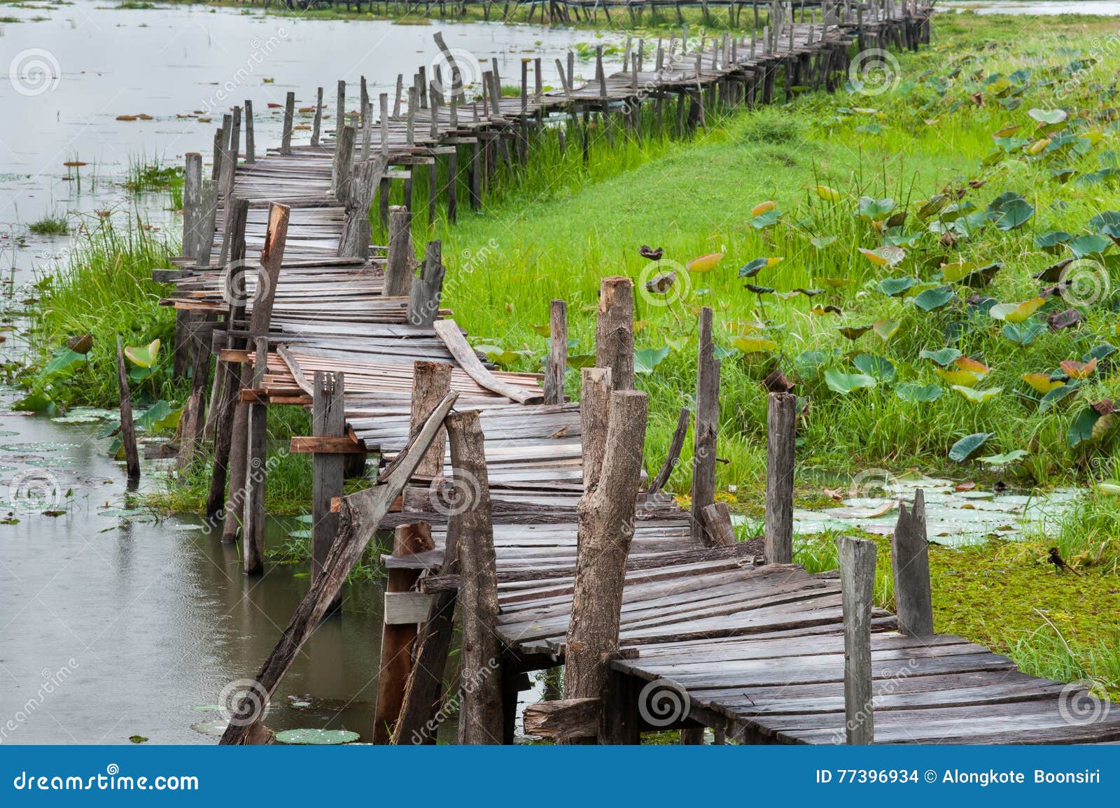 Old wooden long bridge. stock photo. Image of long, road - 77396934