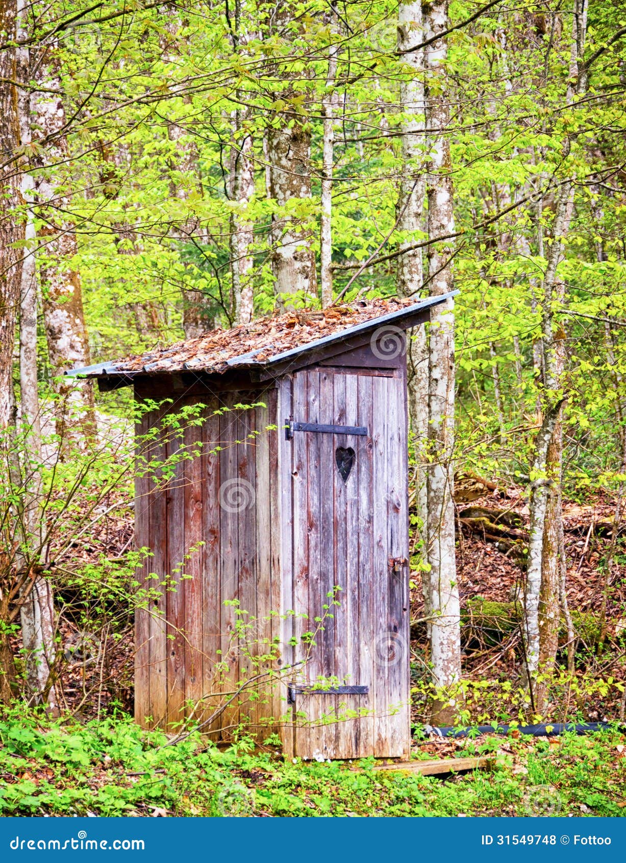 Old wooden outhouse stock photo. Image of view, vertical - 31549748