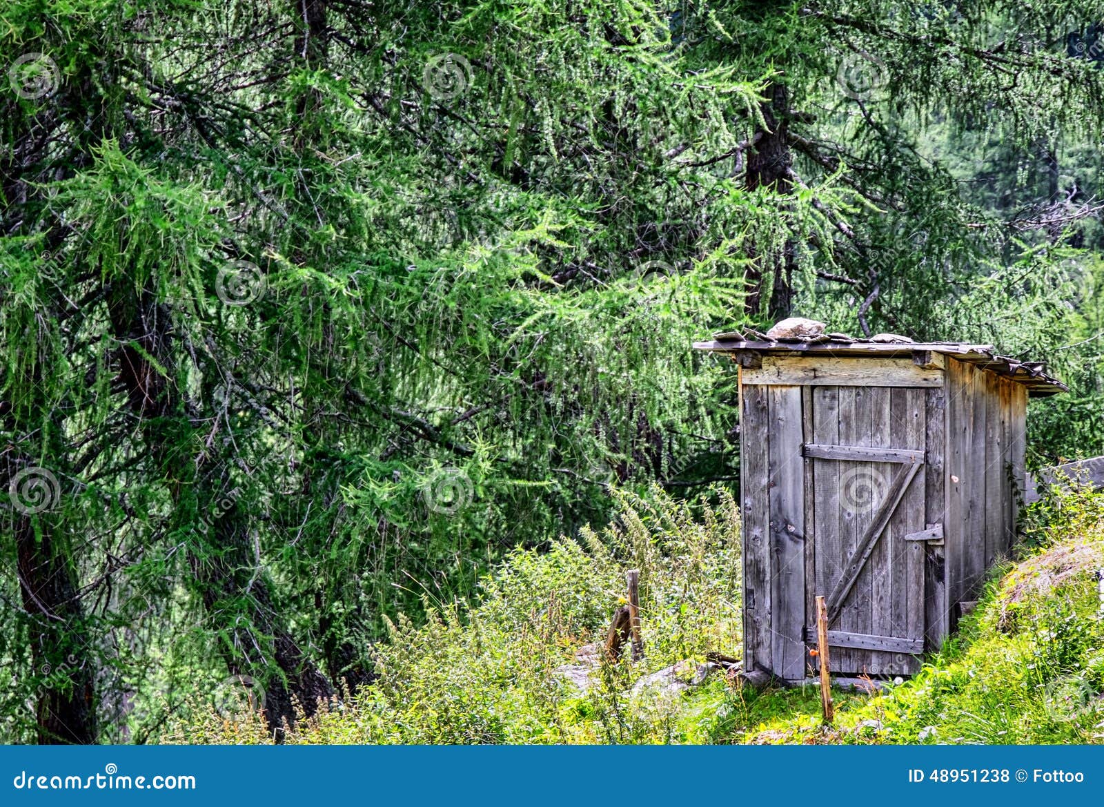 Old wooden outhouse stock photo. Image of structure, tree - 48951238
