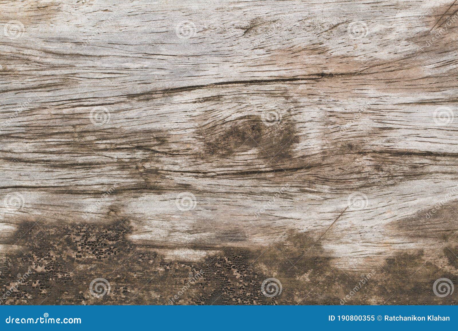 Old Wooden Panel Texture for Background, Vintage Texture Style Stock ...