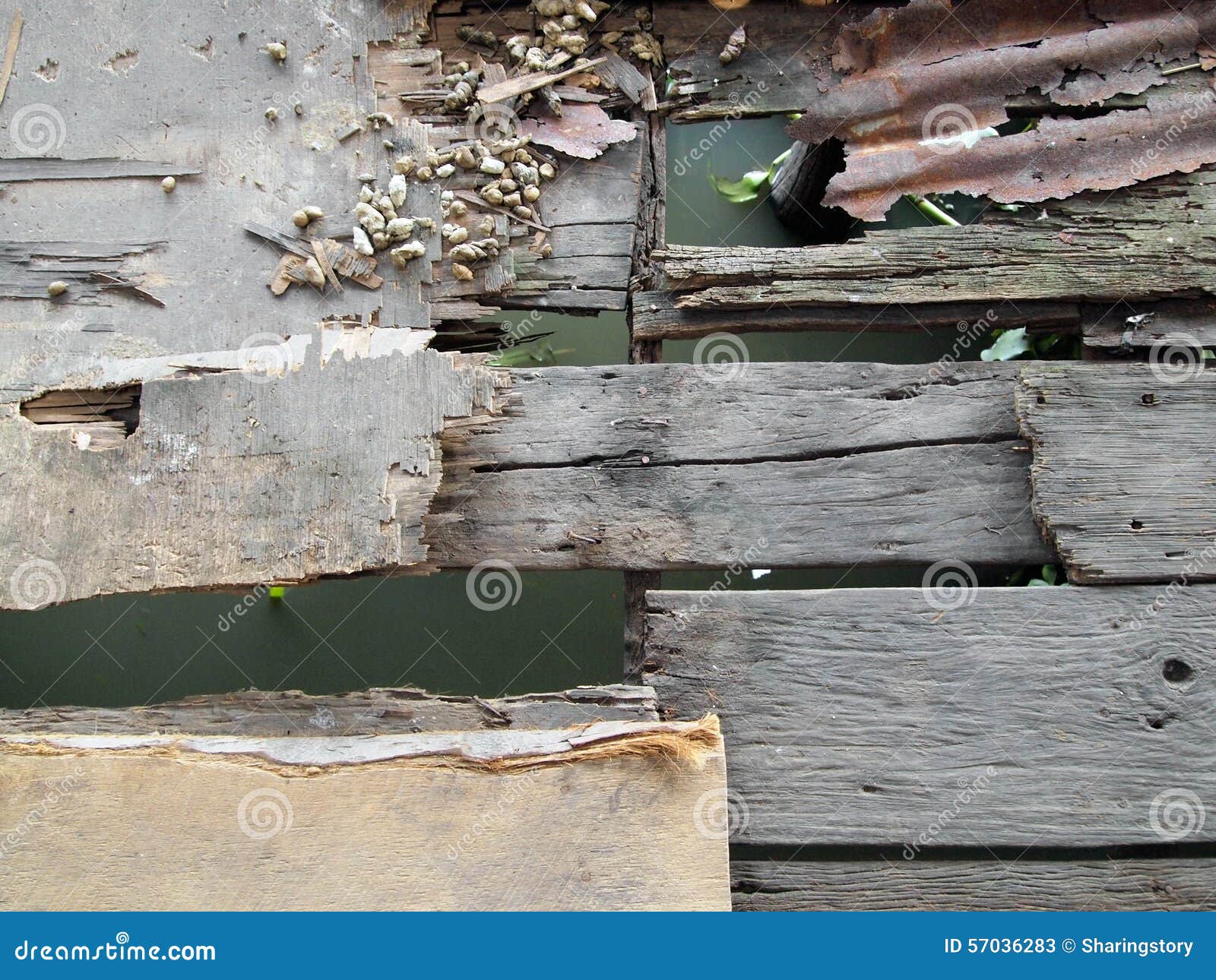 Old wooden pathway stock image. Image of bridge, park - 57036283