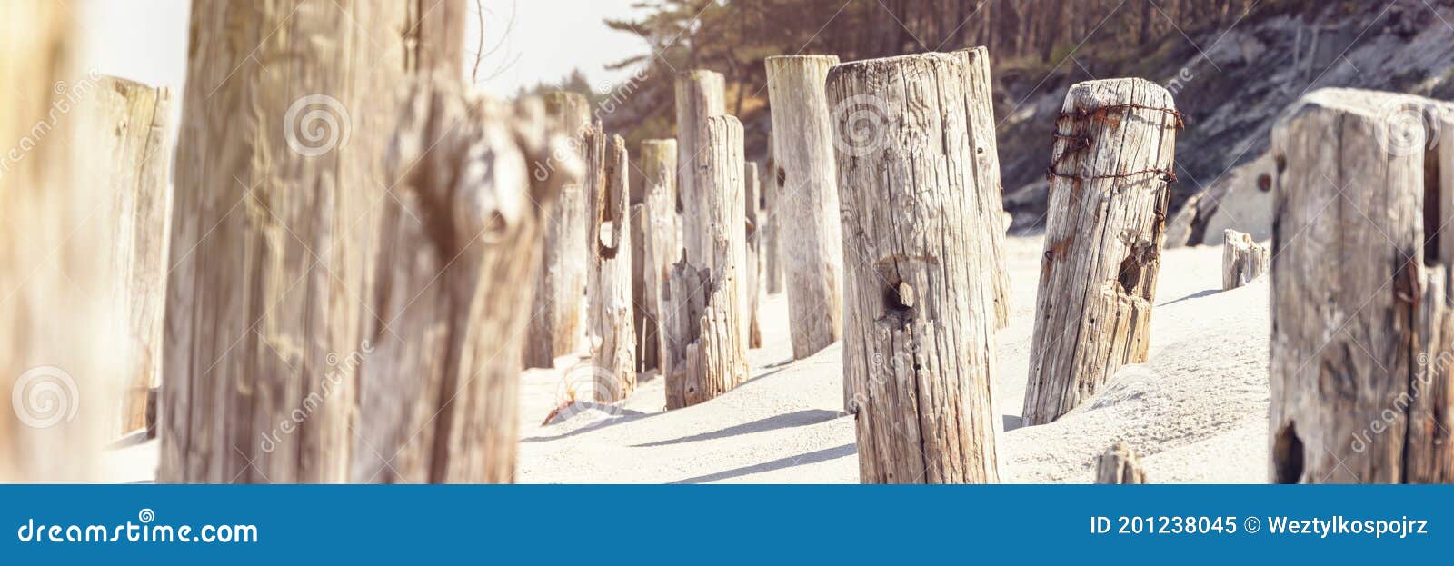 Old Wooden Piles on the Beach Clear Water Beach Panorama Stock Image ...