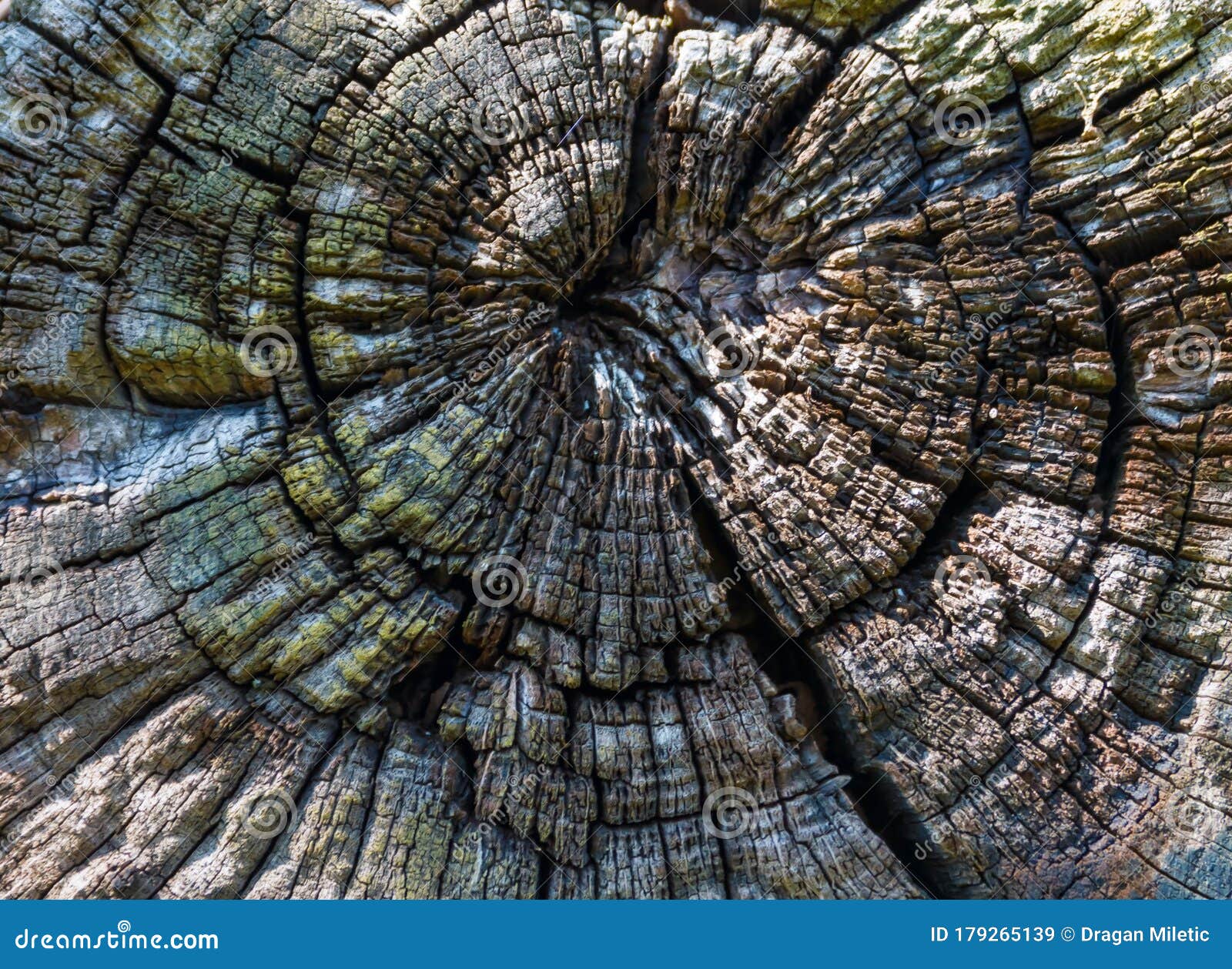 Old wooden pillar section stock image. Image of architecture - 179265139