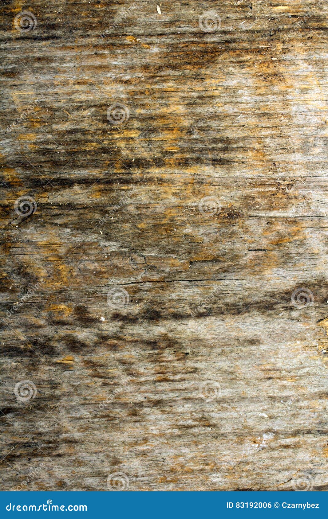 Old wooden plank texture stock photo. Image of texture - 83192006