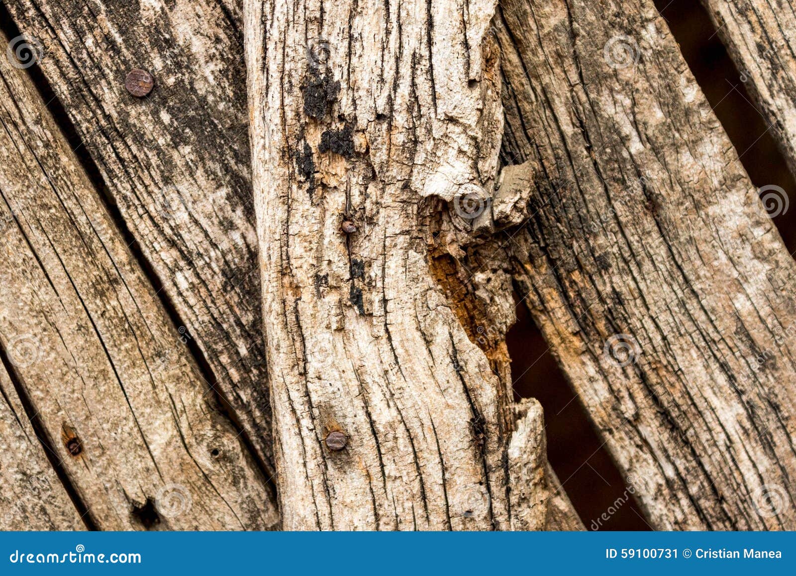 Old wooden planks stock image. Image of ancient, damaged - 59100731