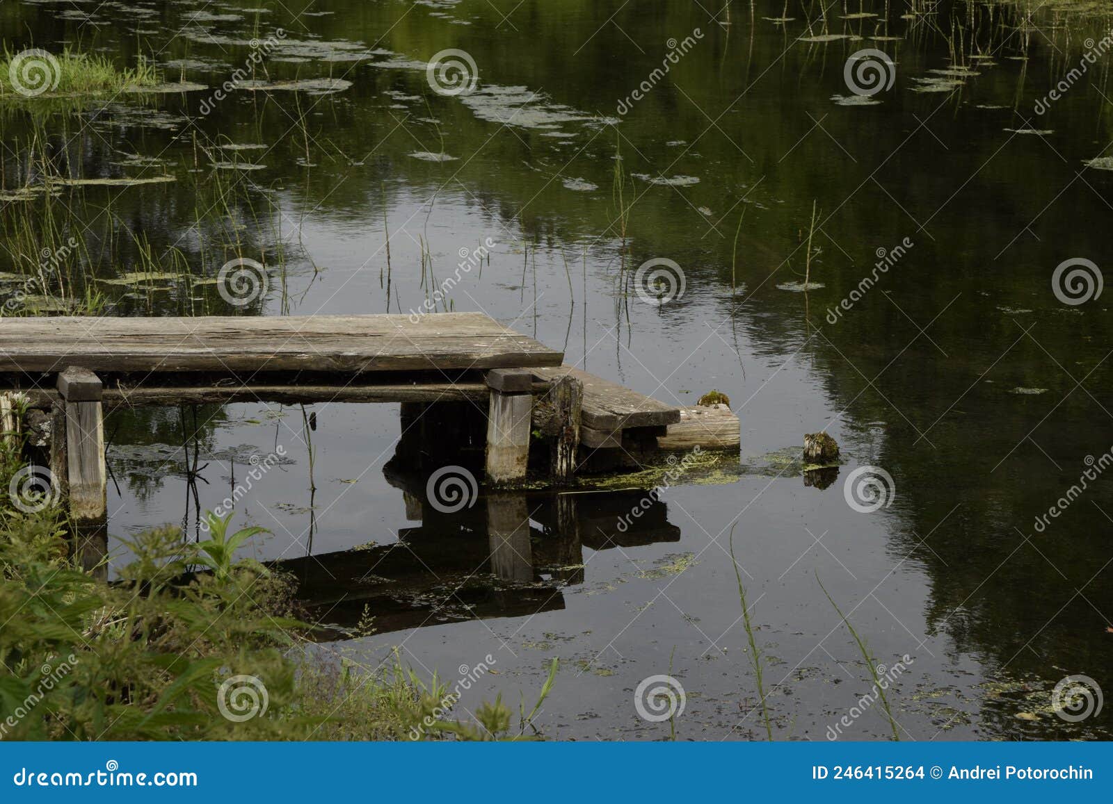 Old Wooden Platform on the Forest River Stock Photo - Image of park ...