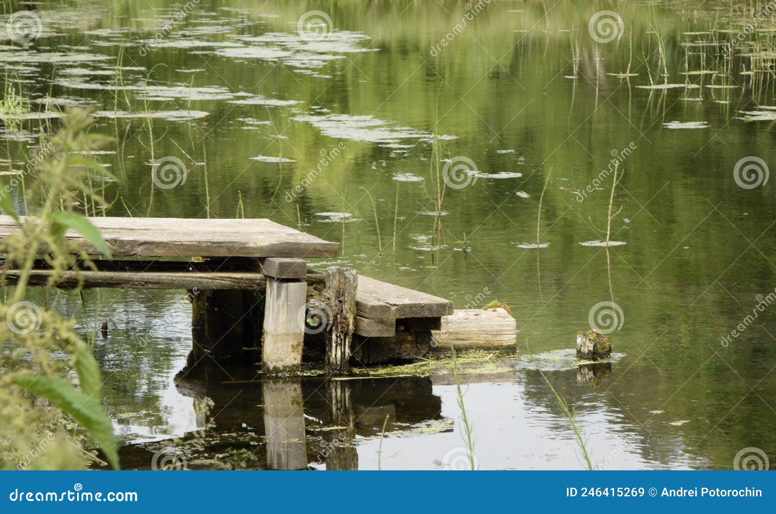 Old Wooden Platform on the Forest River Stock Image - Image of pier ...