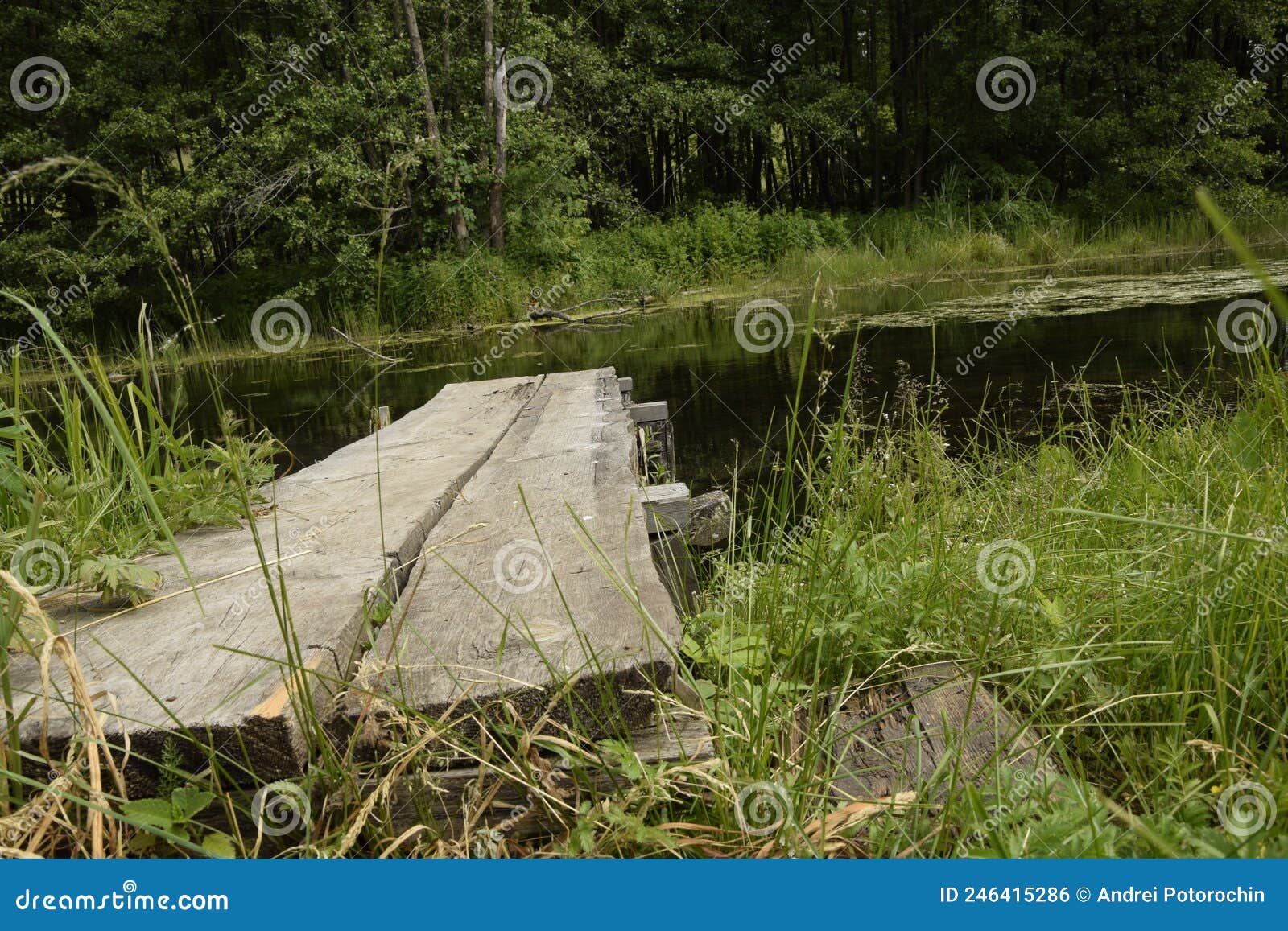 Old Wooden Platform on the Forest River Stock Photo - Image of fishing ...