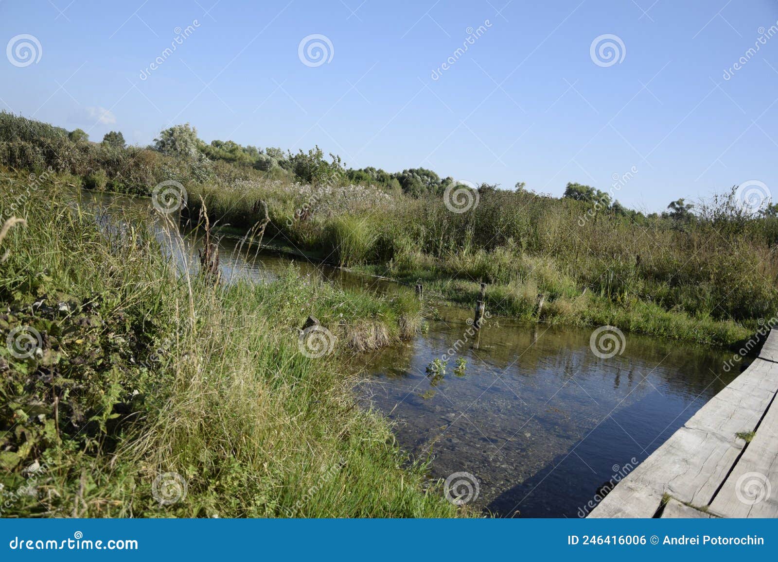 Old Wooden Platform on the Forest River Stock Photo - Image of blue ...