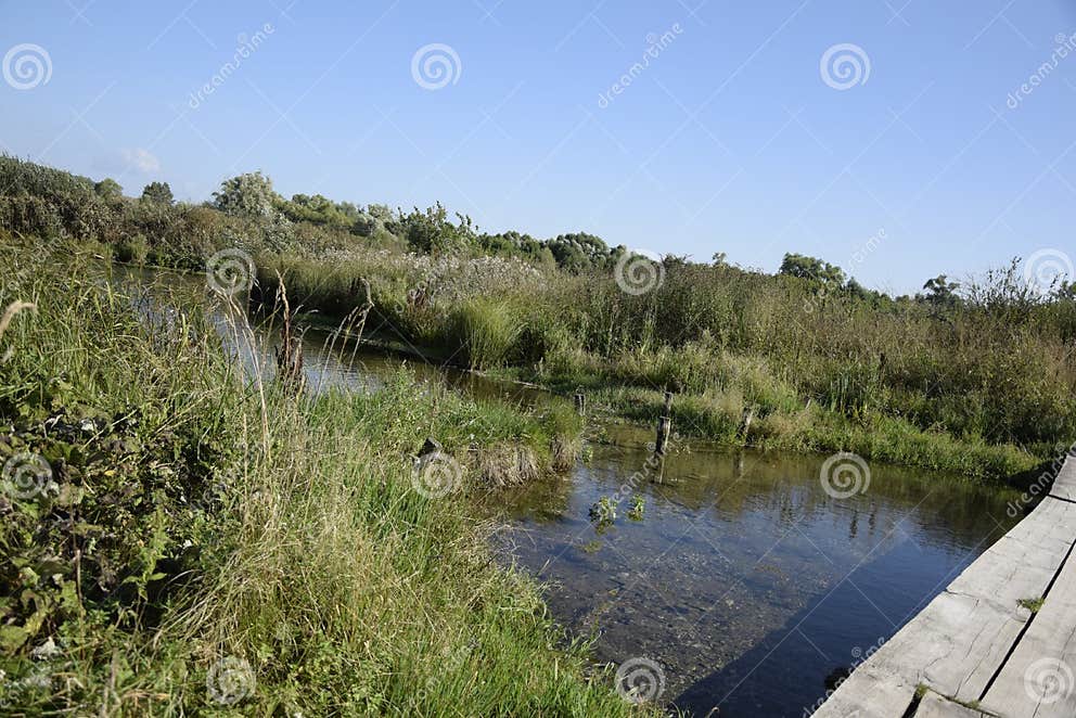 Old Wooden Platform on the Forest River Stock Photo - Image of blue ...