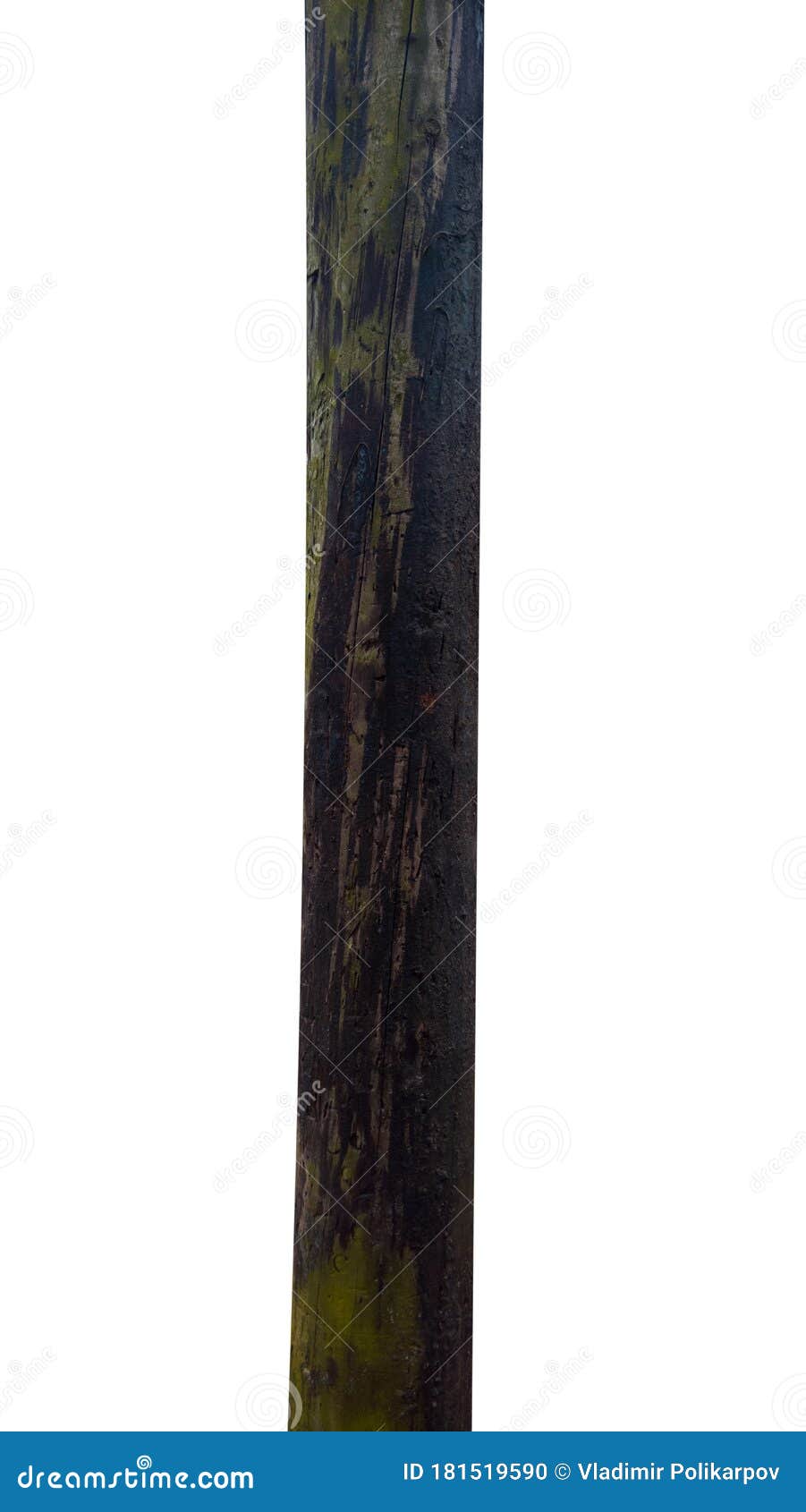 Old Wooden Post Isolated on White Stock Photo - Image of timber ...