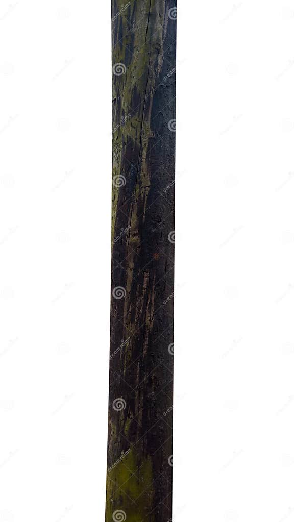 Old Wooden Post Isolated on White Stock Photo - Image of timber ...