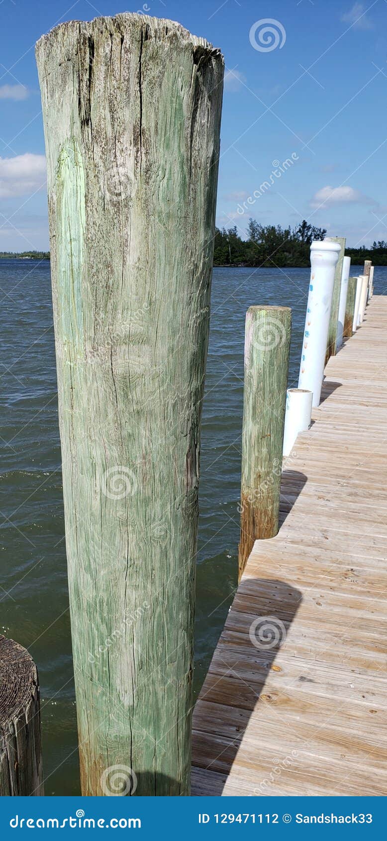 Old wooden posts on dock stock photo. Image of weathered - 129471112