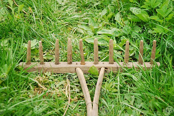 Old wooden rake on grass stock photo. Image of object - 9164878
