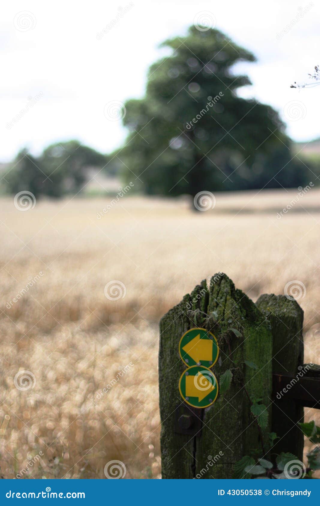 An Old Wooden Right of Way Footpath Direction Signpost Stock Photo ...