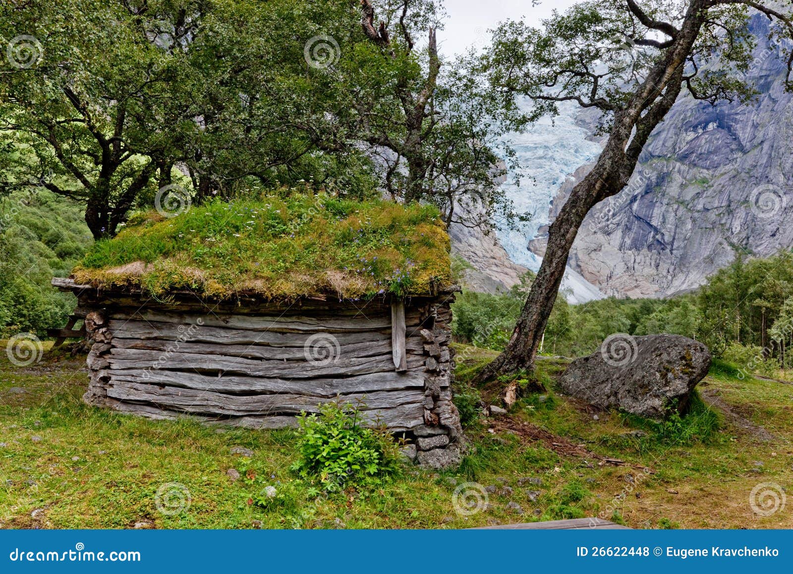 Old wooden shack in forest stock photo. Image of perforated - 26622448