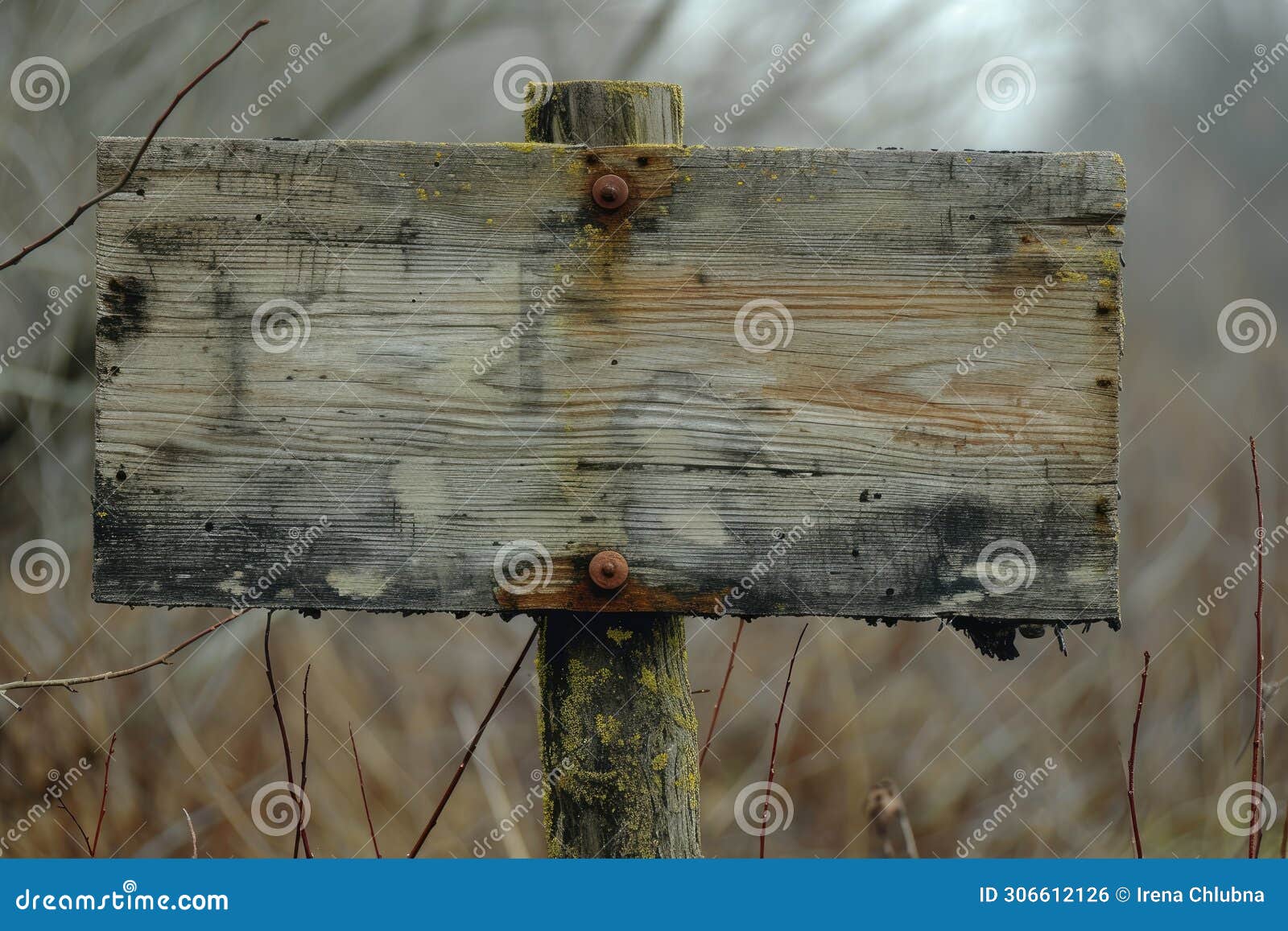 Old wooden sign in nature stock illustration. Illustration of plank ...