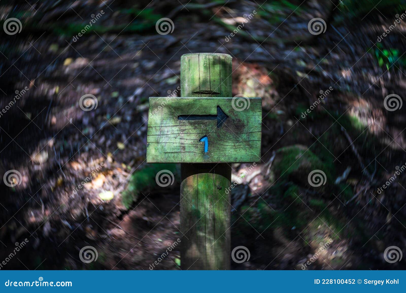 Old wooden signpost stock photo. Image of park, hiking - 228100452