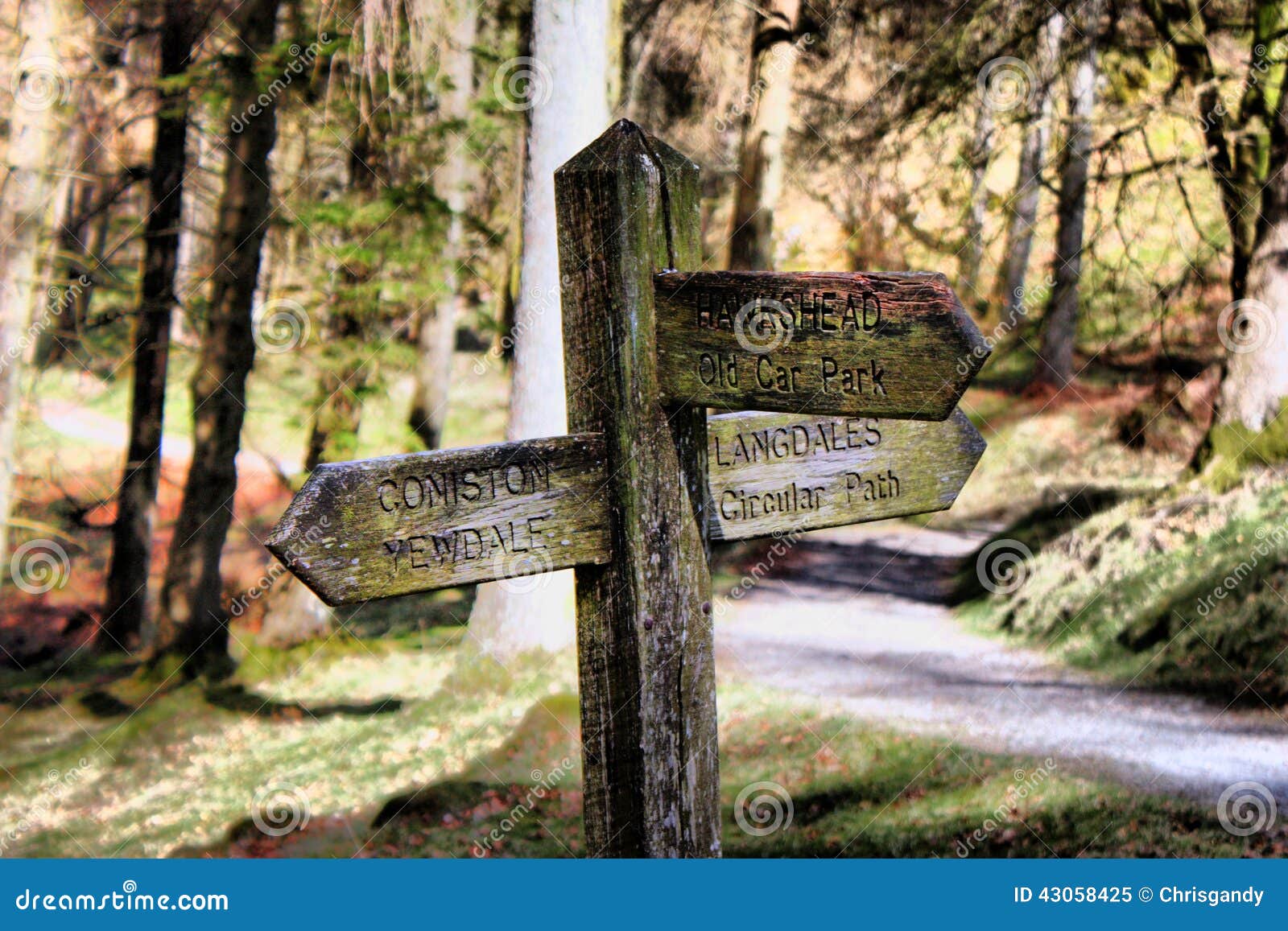 An Old Wooden Signpost in the Lake District Stock Image - Image of ...