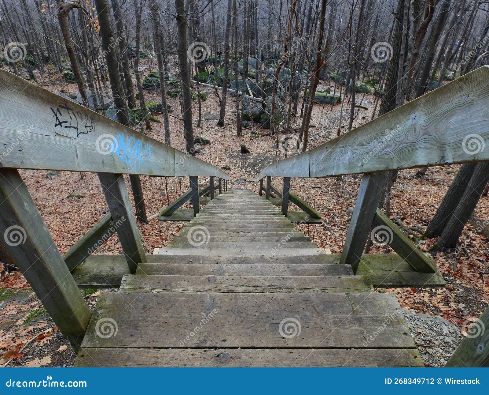 Old Wooden Staircase in a Forest Stock Photo - Image of outdoor, forest ...