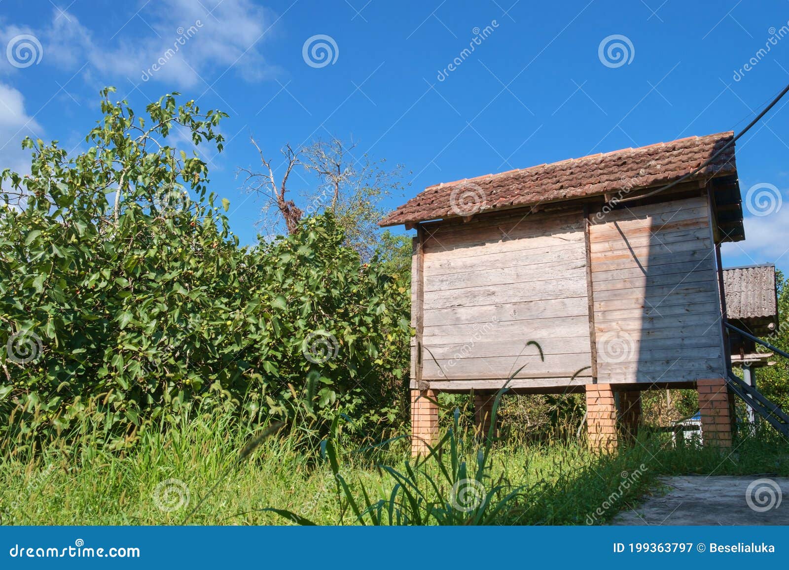 An Old Wooden Storage Hut in the Field Stock Image - Image of blue ...