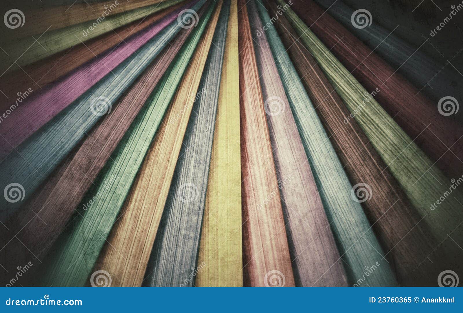 Wooden Striped Wall With Window Display And Plants. Reflection On A ...