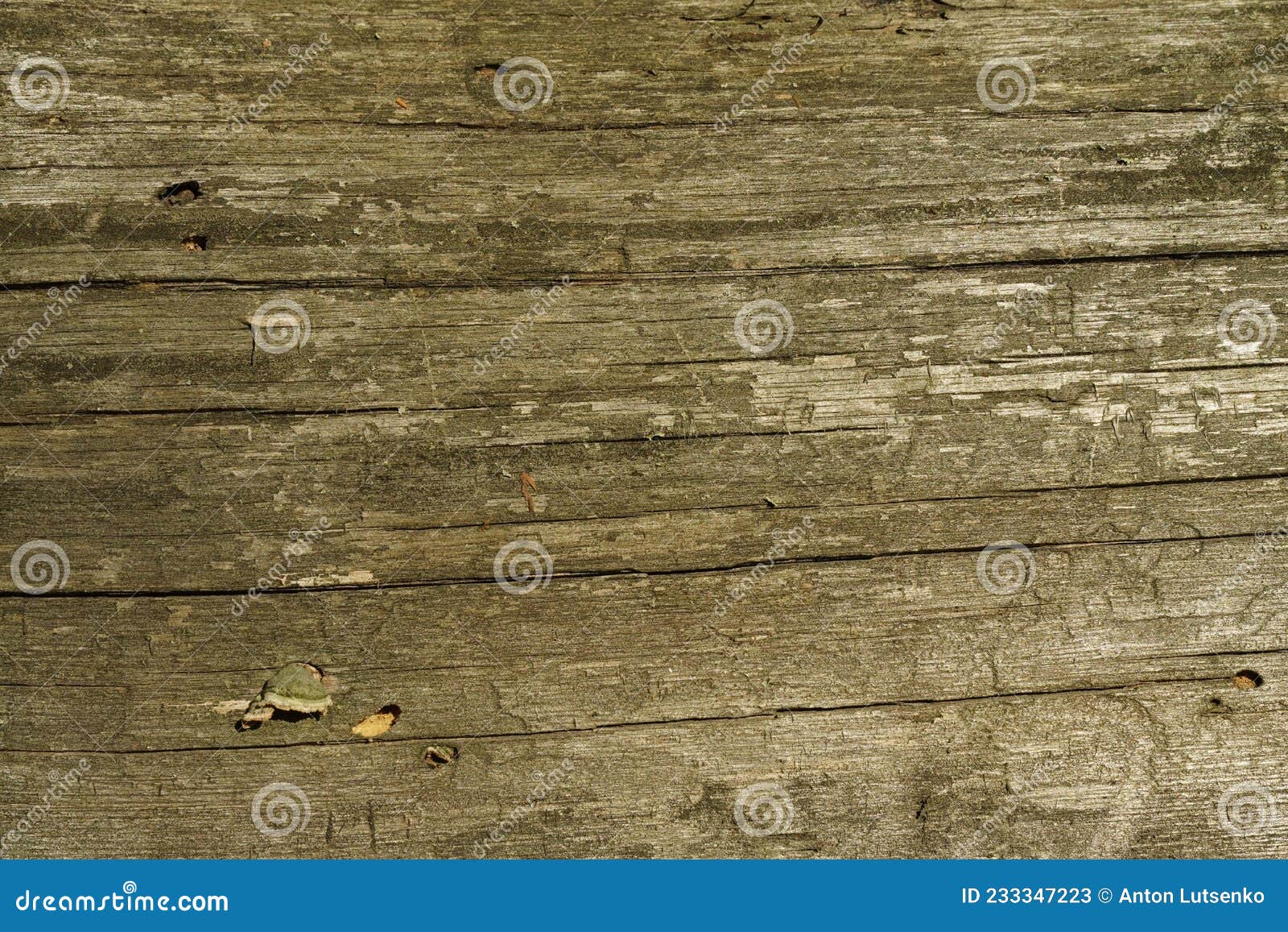 Old Wooden Texture for Background, Front View Image Stock Image - Image ...