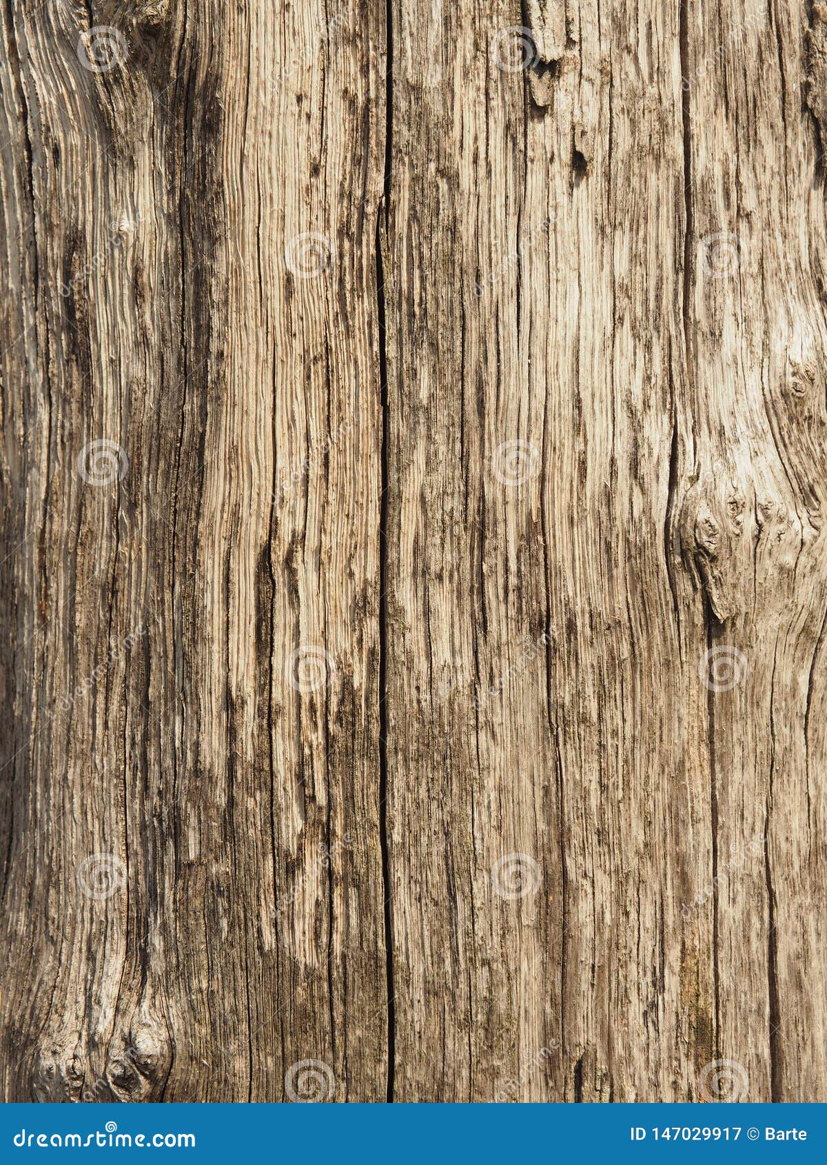 Old wooden texture stock image. Image of panel, pattern - 147029917