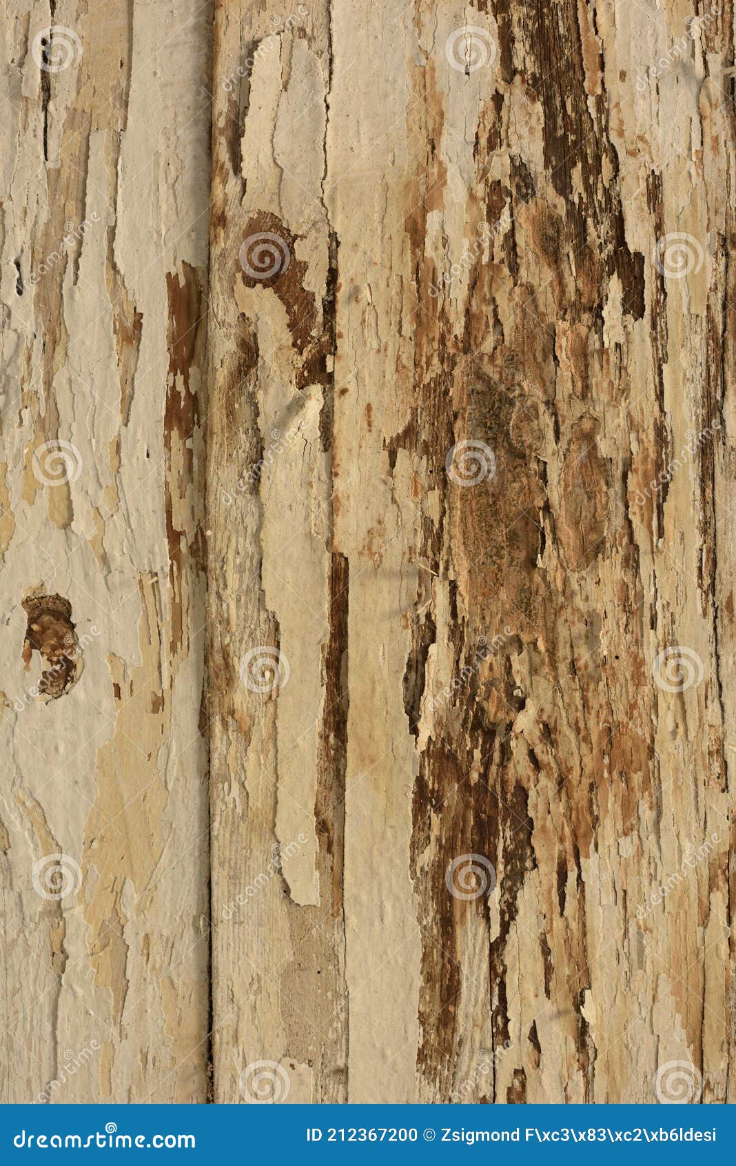 Old Wooden Vintage Texture Background Ceiling / III Stock Photo - Image ...