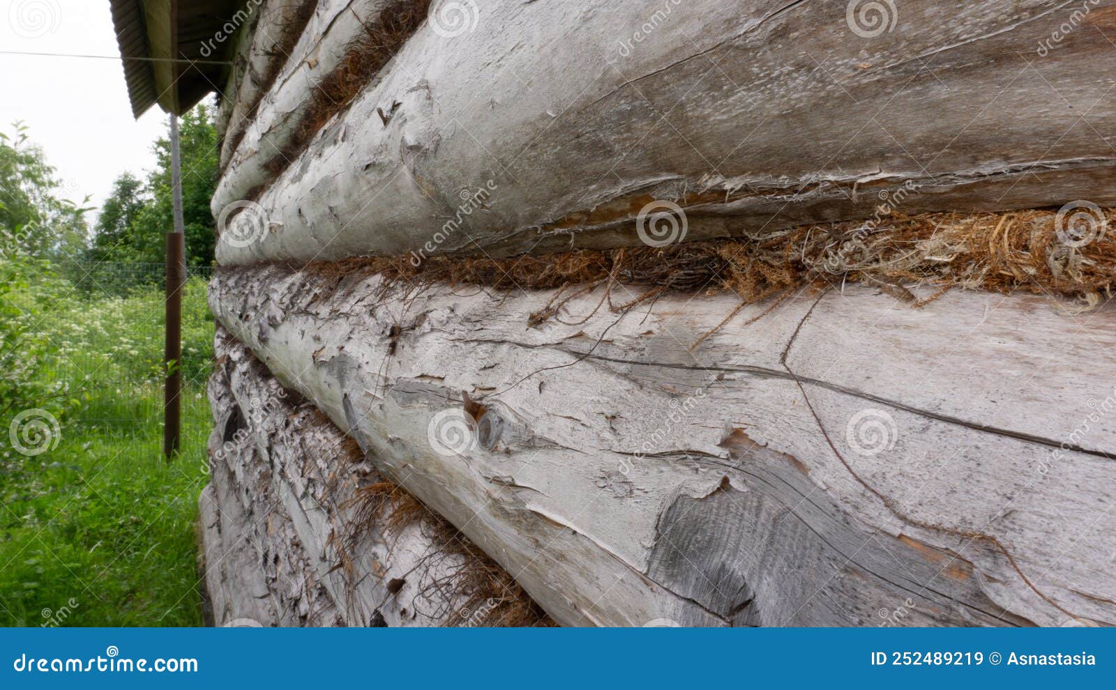 Old Wooden Wall Made of Logs. Packed with Hemp. Selective Focus. Log ...