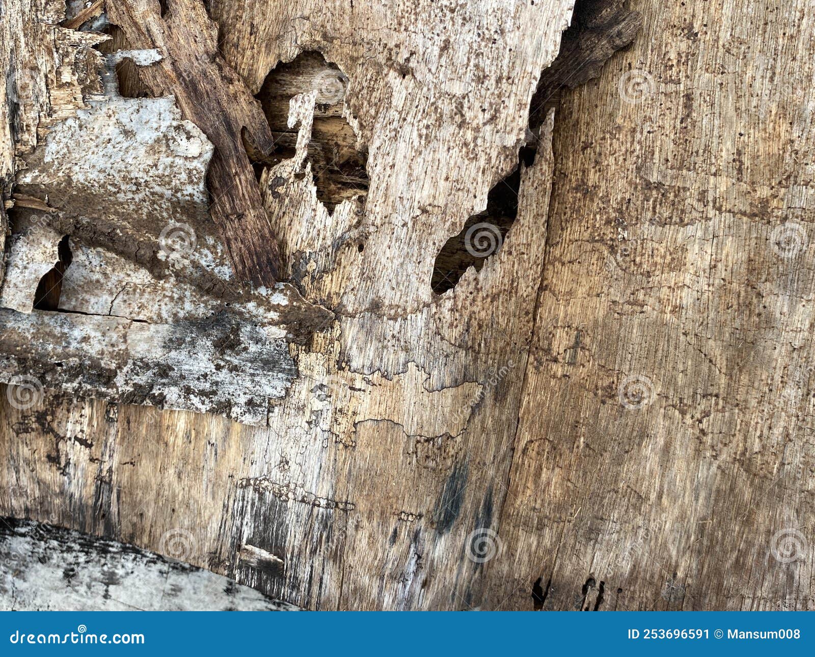 Old wooden wall texture stock image. Image of panel - 253696591