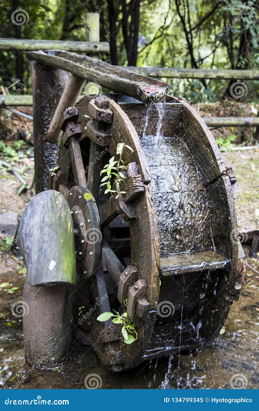 Old Wooden Waterwheel in the Forest Stock Image - Image of cart, lock ...