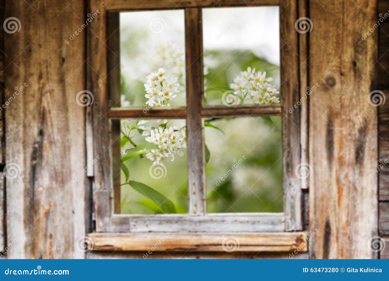 Old Wooden Window Frame, Spring, Flowering Trees. Stock Photo - Image ...