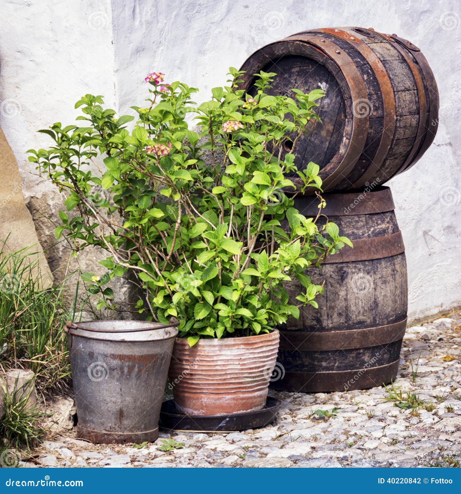 Old wooden wine cask stock photo. Image of cask, container - 40220842