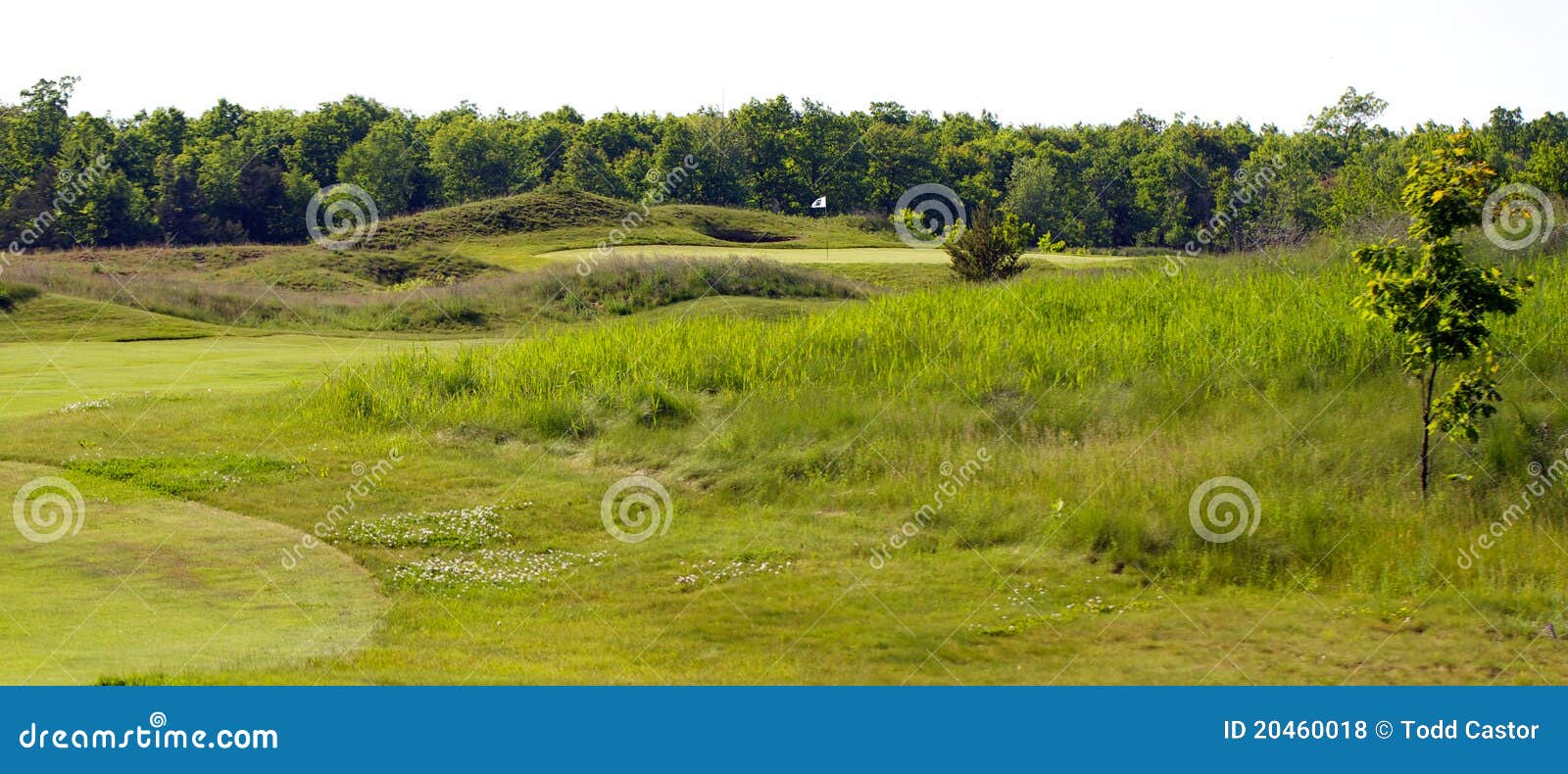 Old World Links Style Golf Course Stock Photo - Image of trap ...