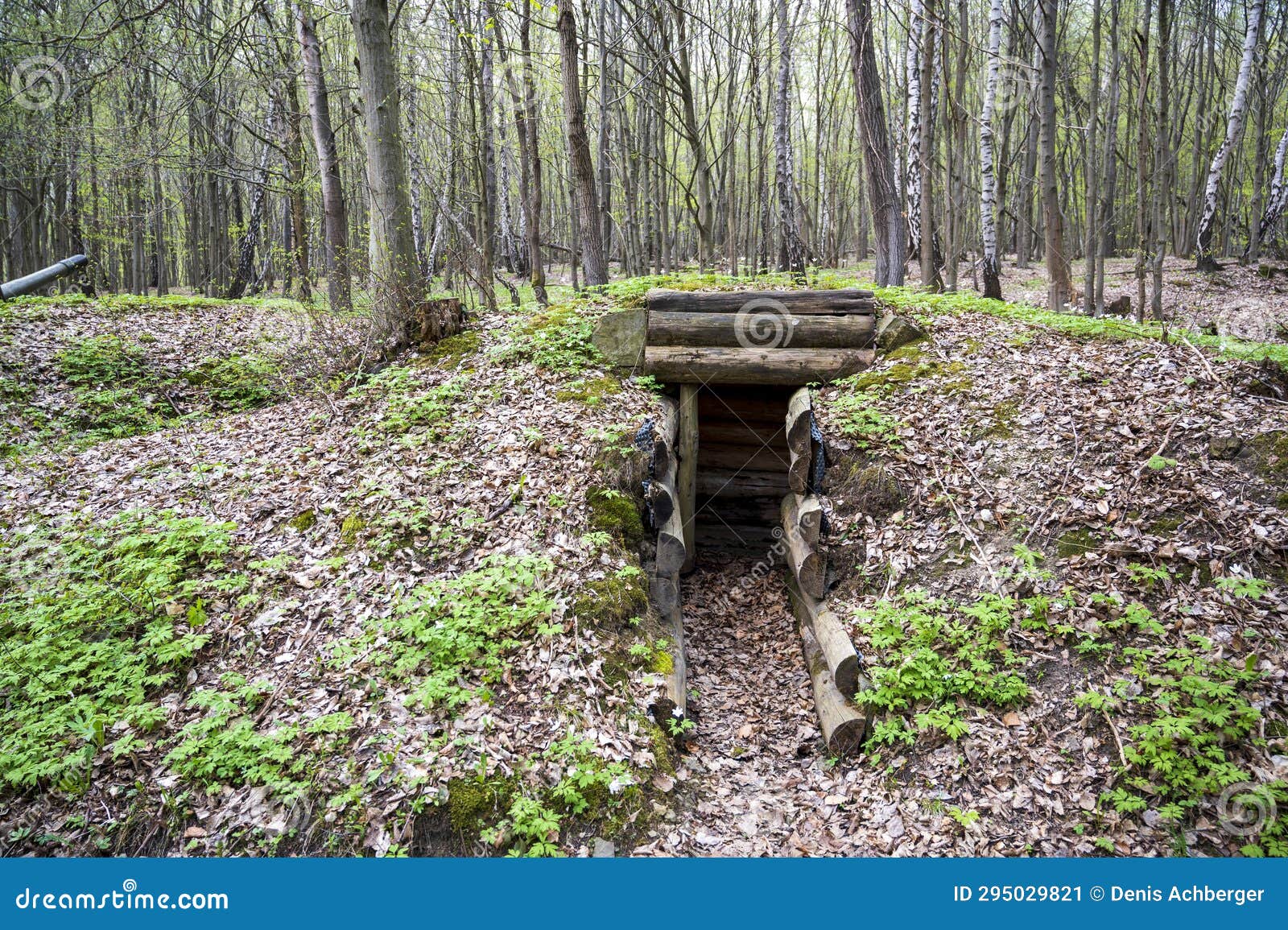 Old World War Second Wooden Bunker Underground. Stock Image - Image of ...