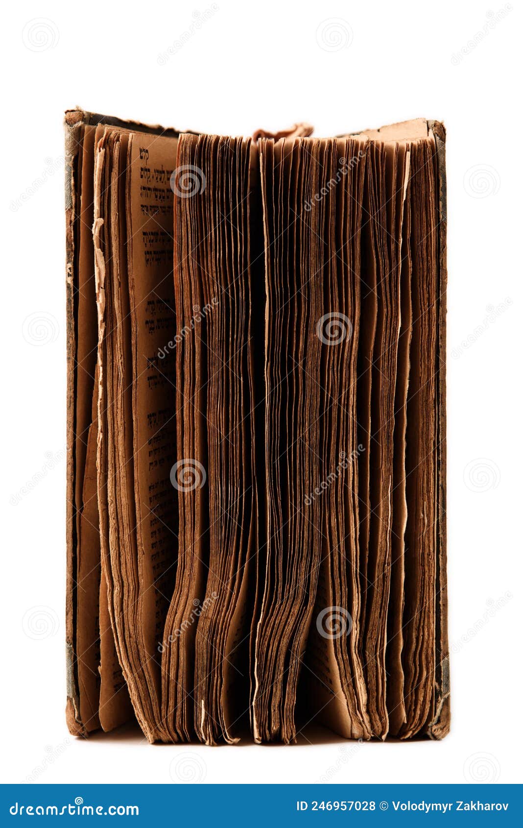 Old Worn Book Pages Isolated on White. Fore Edge of Torah. Textblock ...