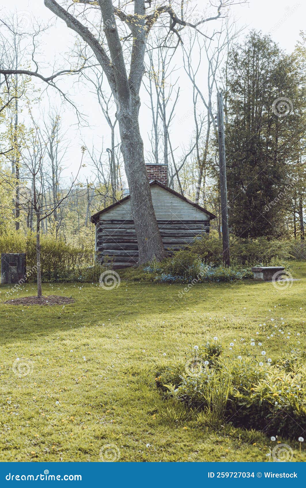 Old Worn Down Wooden House in a Forest Stock Photo - Image of ...