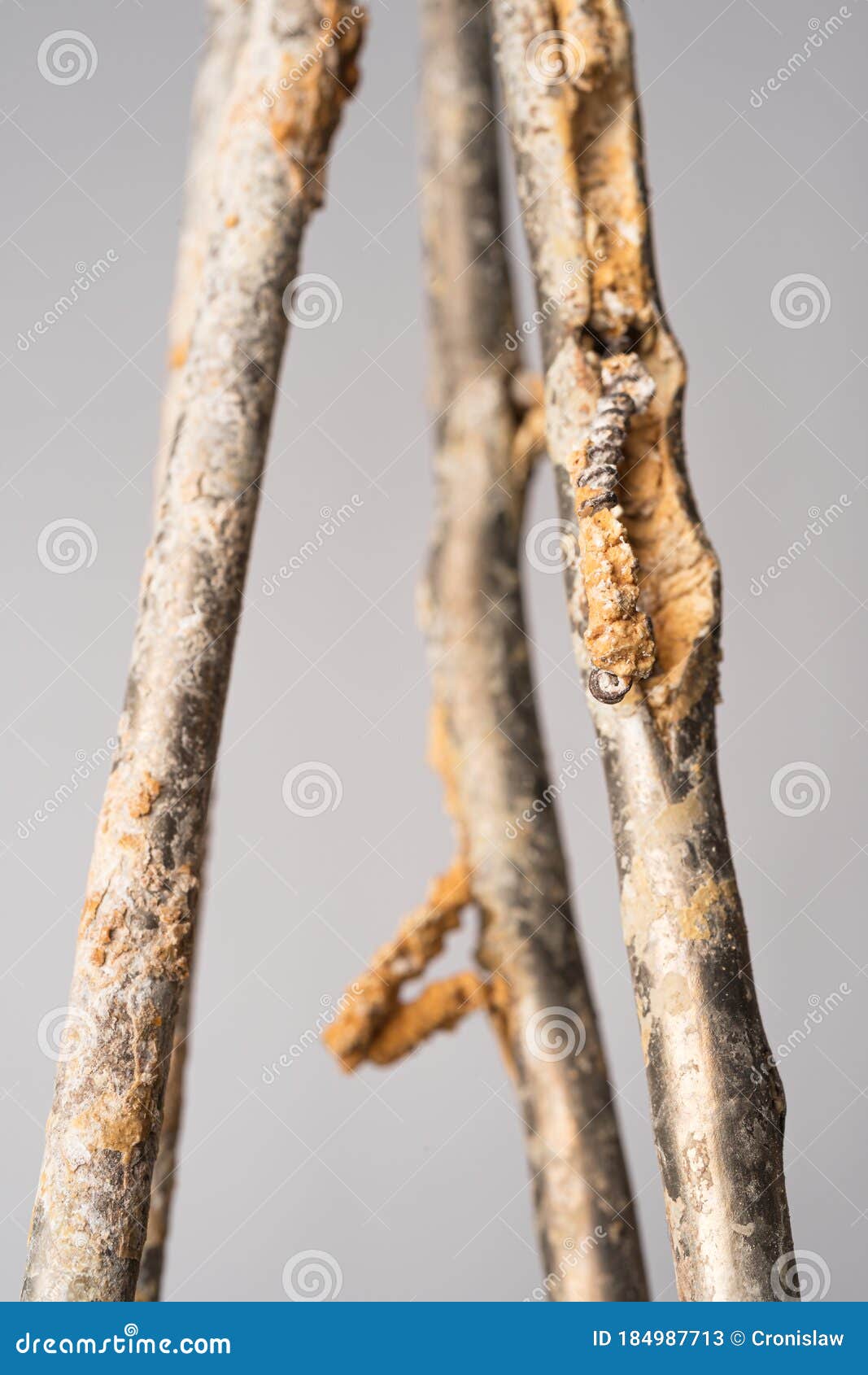 Old Worn Out Immersion Heating Element Covered With Limescale Stock ...