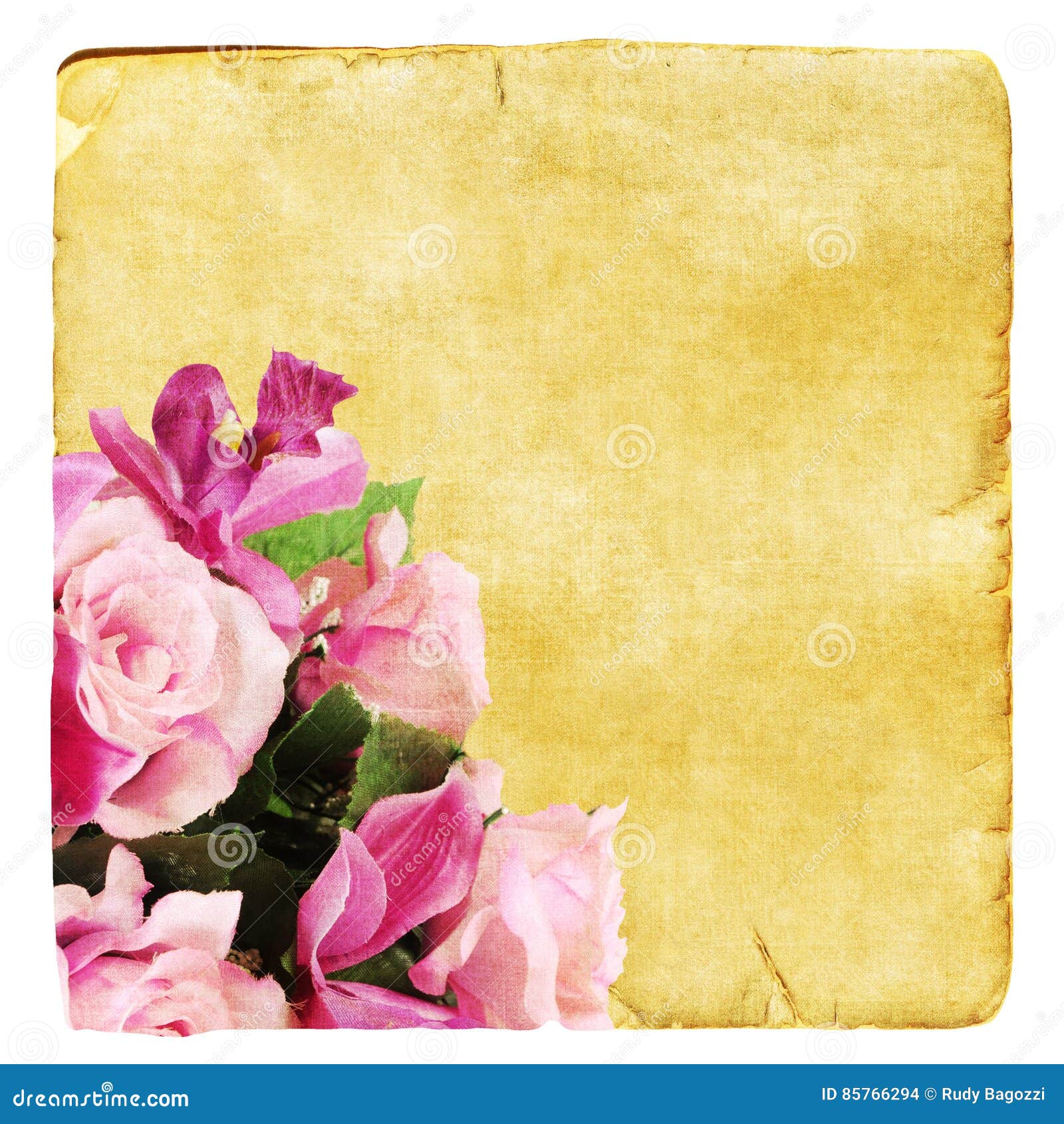 Old worn paper with roses stock illustration. Illustration of nature ...