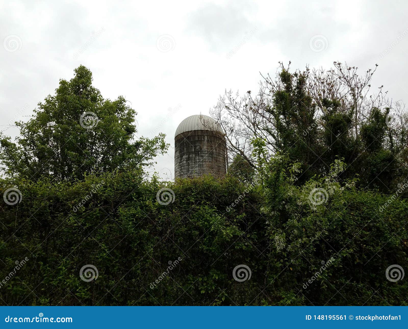 Old Worn Silo on Farm with Green Trees and Plants Stock Image - Image ...