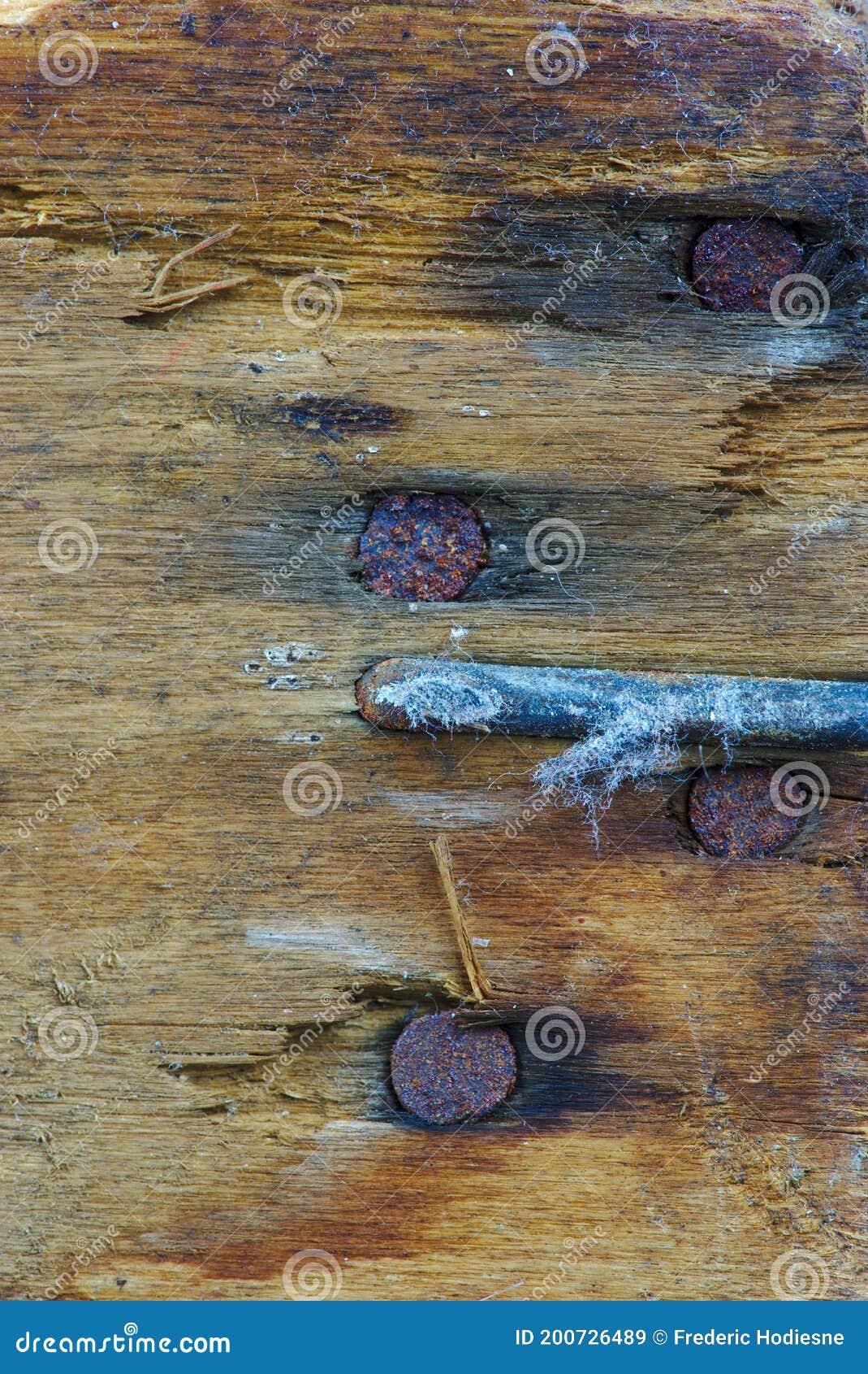 Old worn wood texture stock image. Image of panel, timber - 200726489