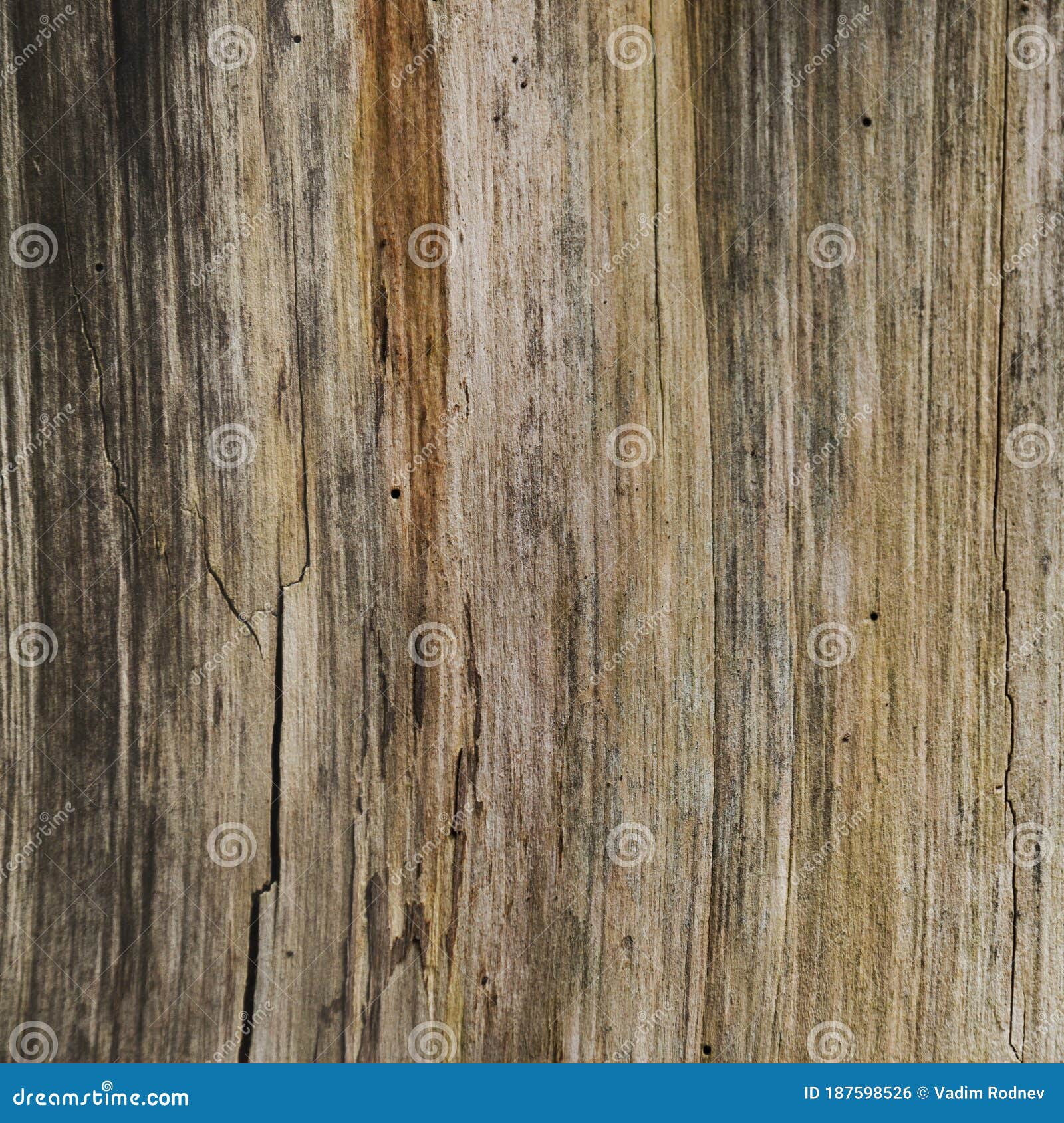 Old Worn Wood Texture Pattern Background Stock Photo - Image of nature ...