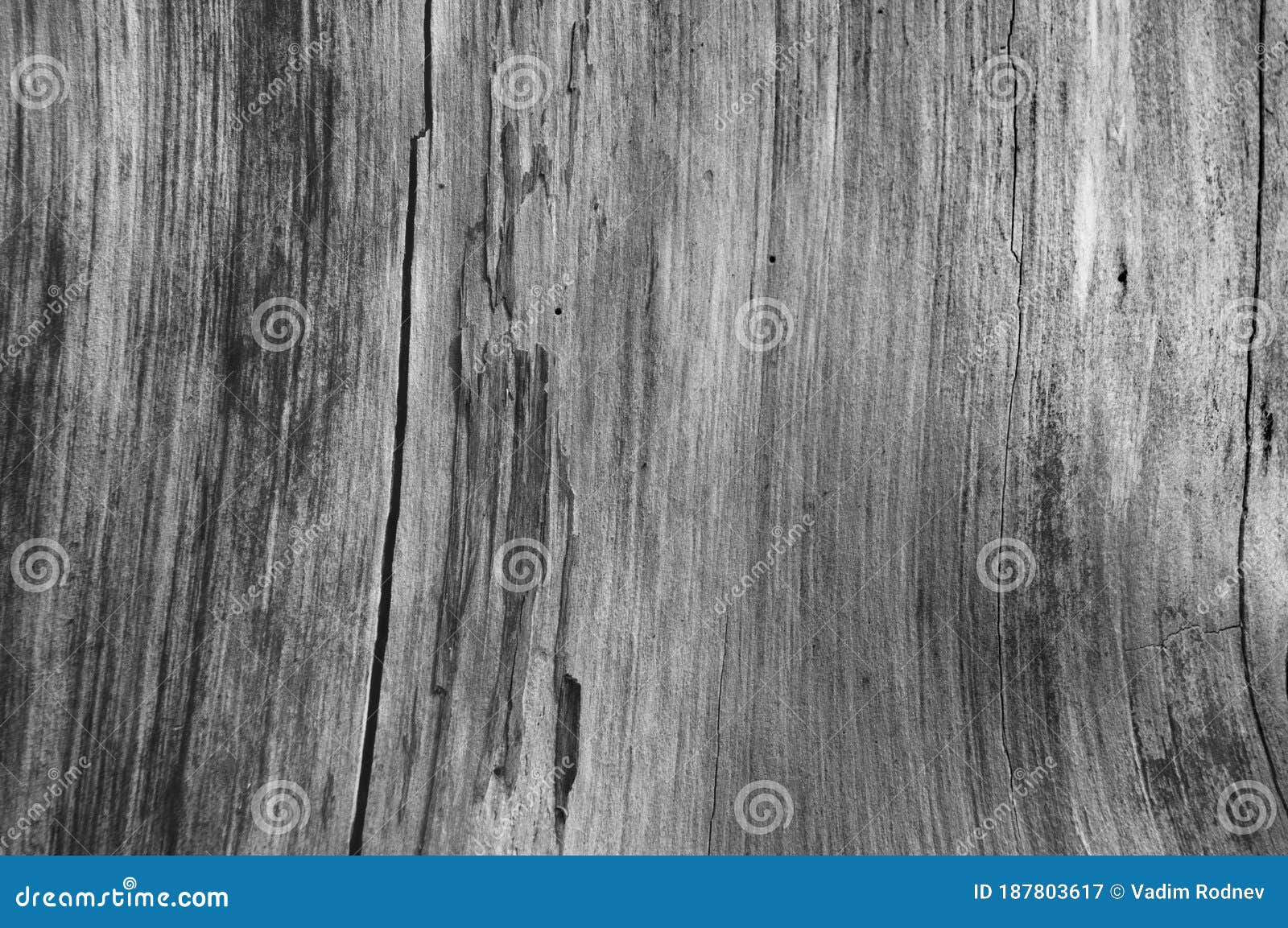 Old Worn Wood Texture Pattern Background Grey, Monochrome, Black and ...