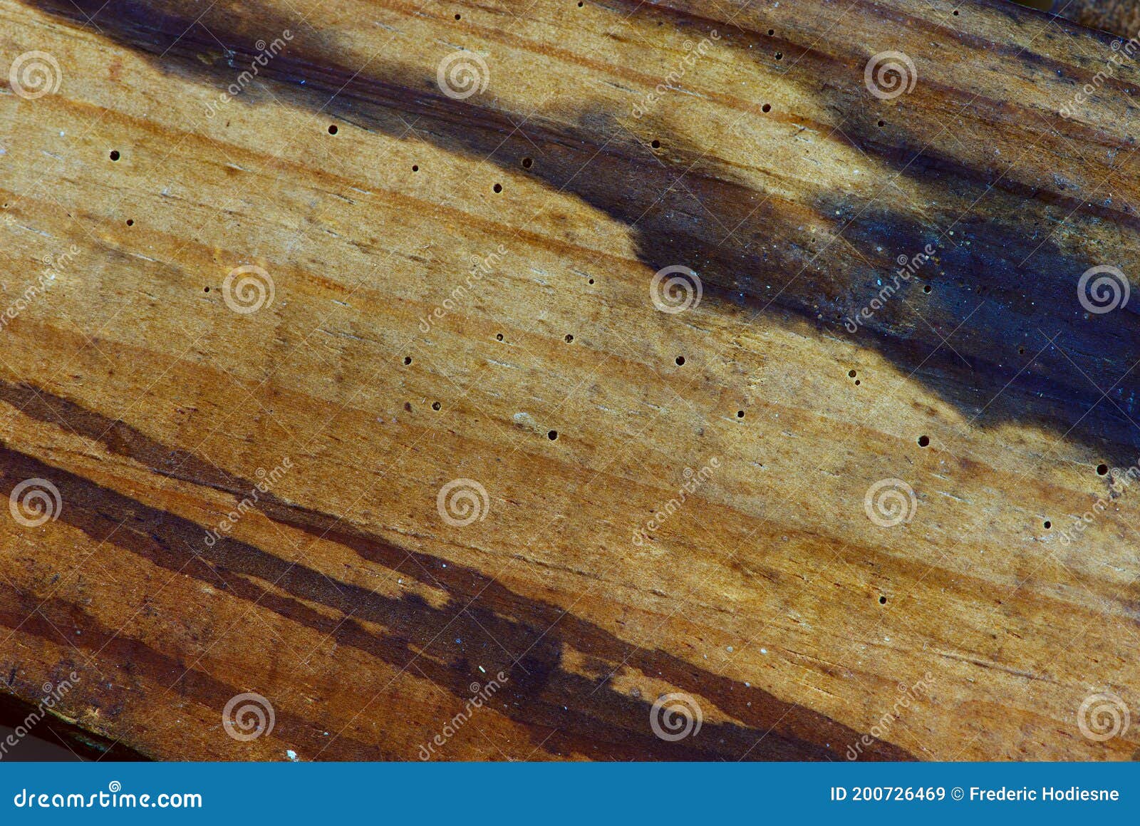 Old worn wood texture stock image. Image of wooden, wood - 200726469